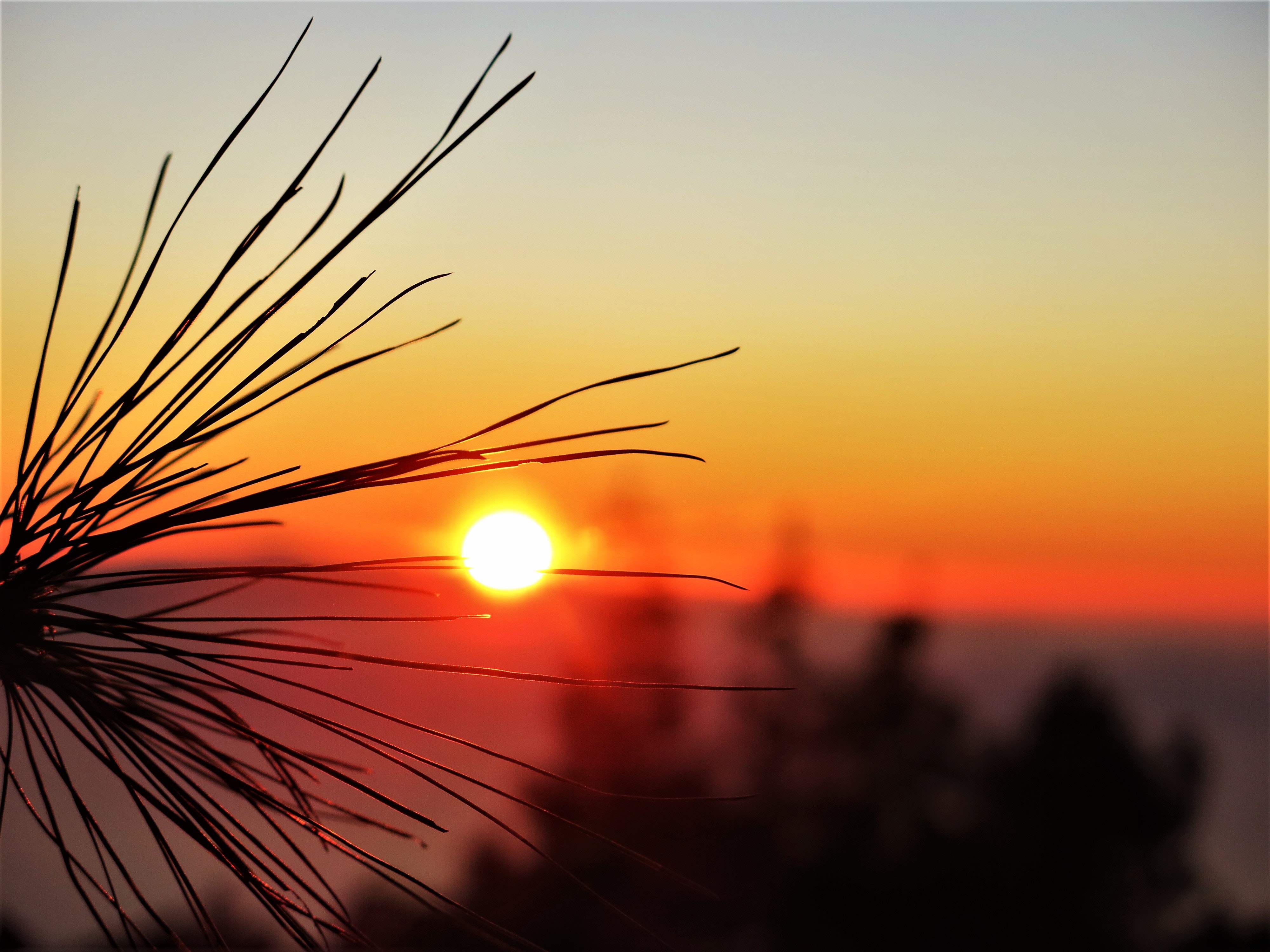 Sunset View Wallpapers - Wallpaper Cave