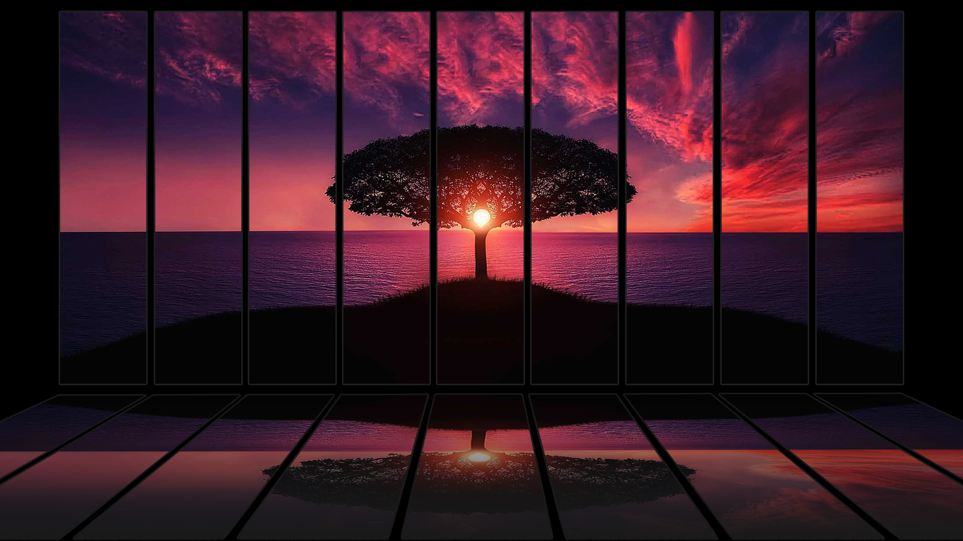 Tree Sunset HD Wallpapers - Wallpaper Cave