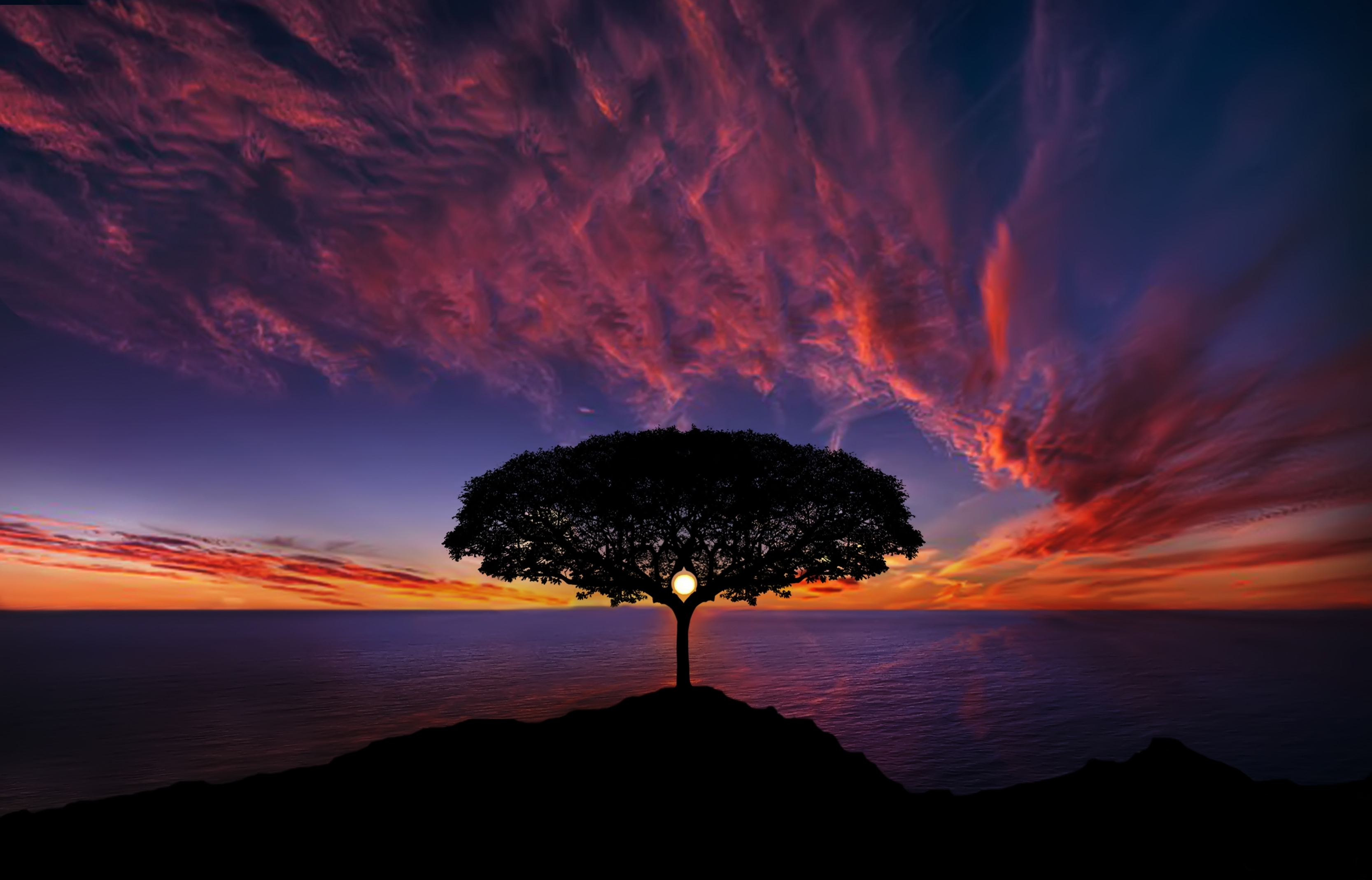 Tree Sunset HD Wallpapers - Wallpaper Cave