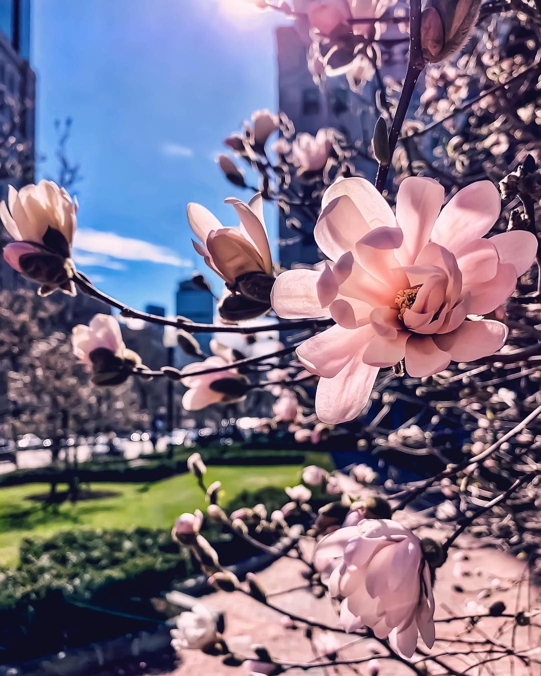 Boston Spring Wallpapers - Wallpaper Cave