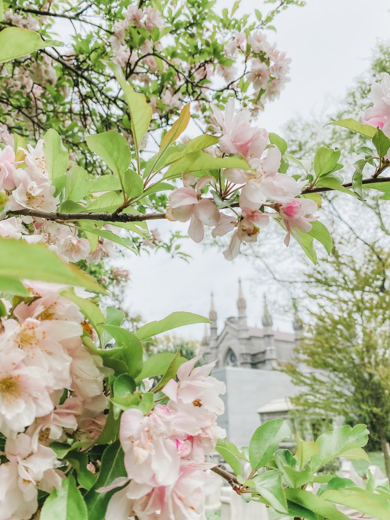 Boston Spring Wallpapers - Wallpaper Cave