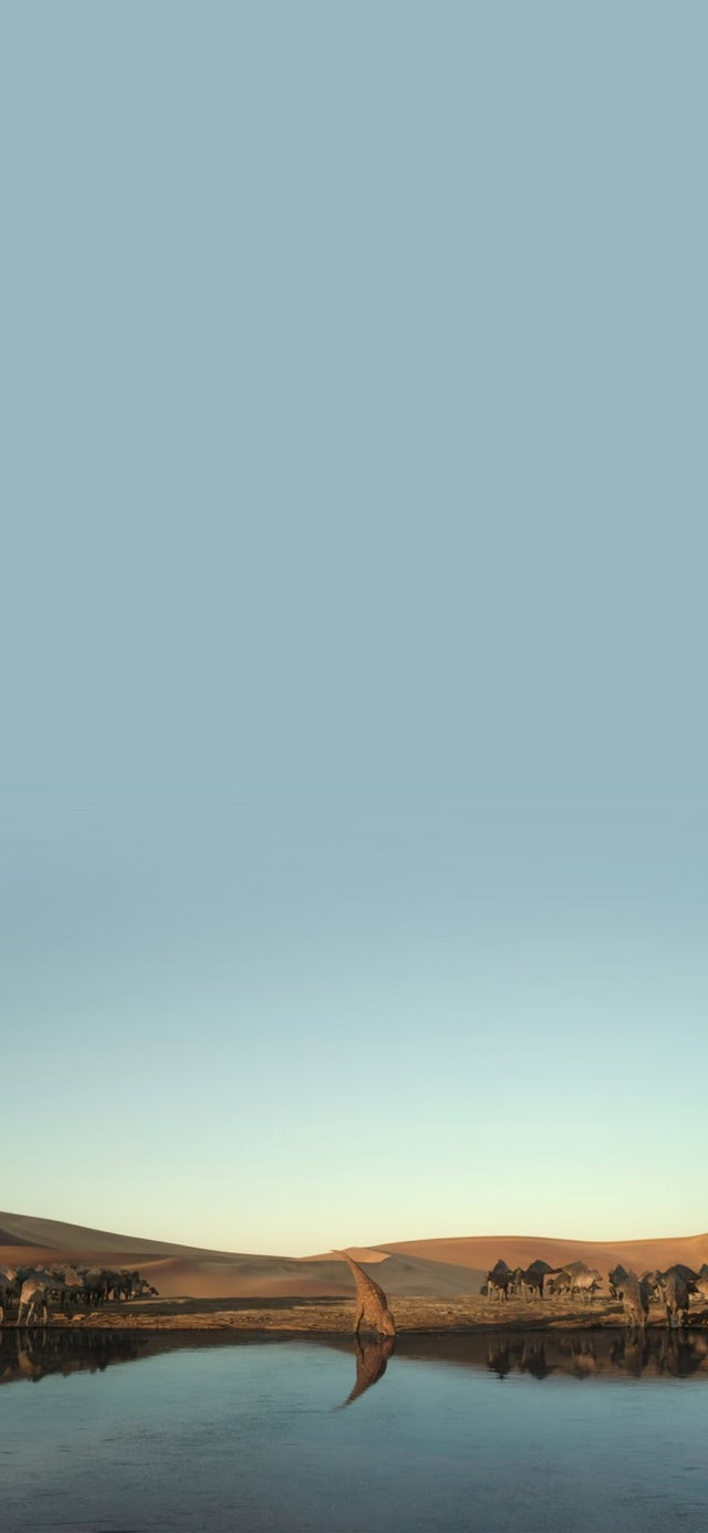 Prehistoric Planet Wallpapers - Wallpaper Cave