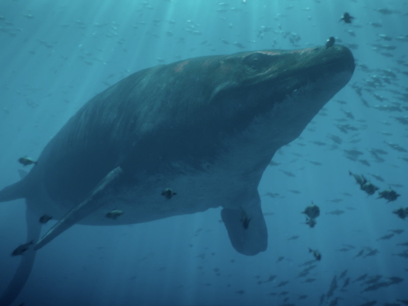 Prehistoric Planet Wallpapers - Wallpaper Cave