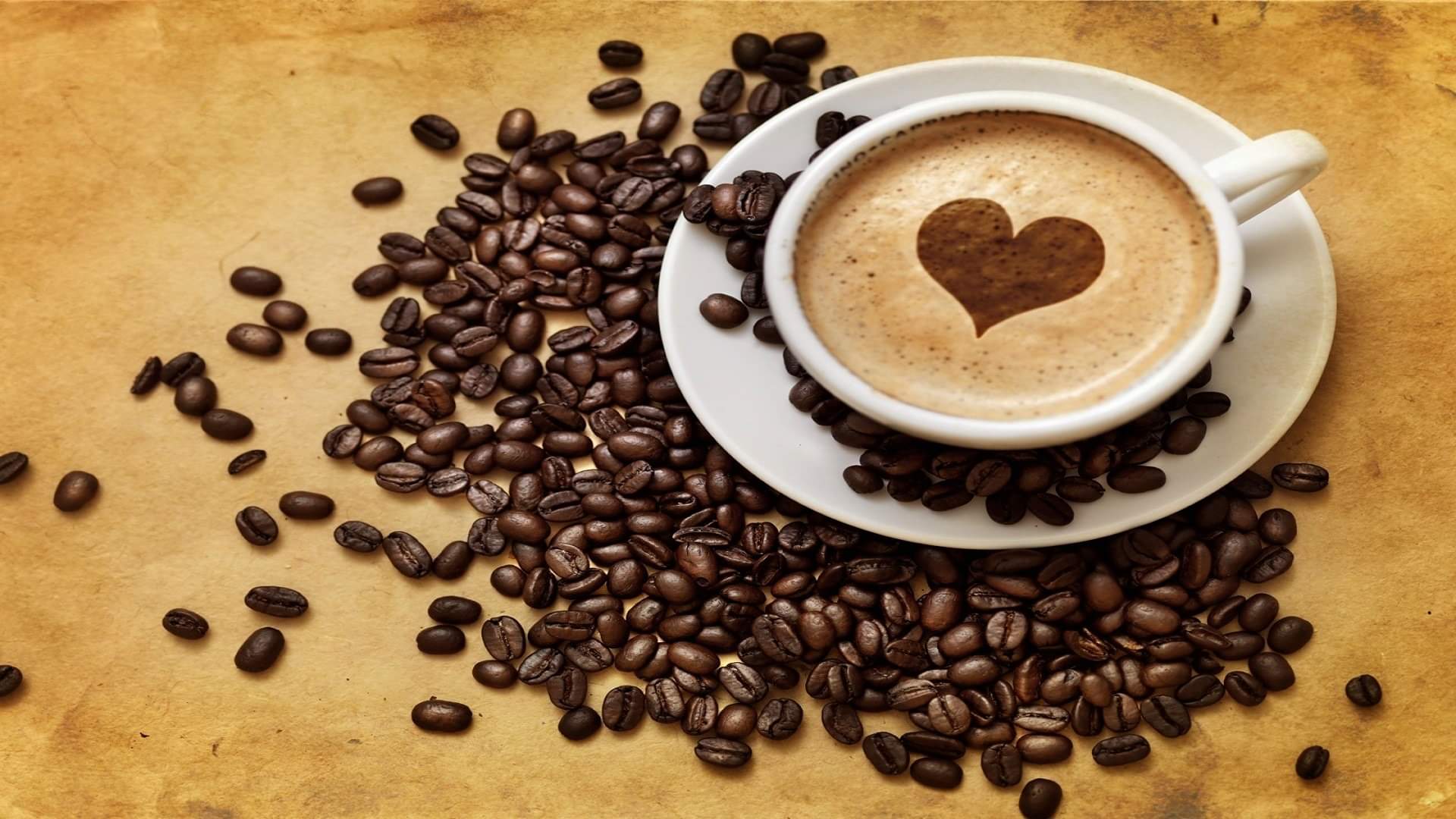 Coffee Lover HD Wallpapers - Wallpaper Cave