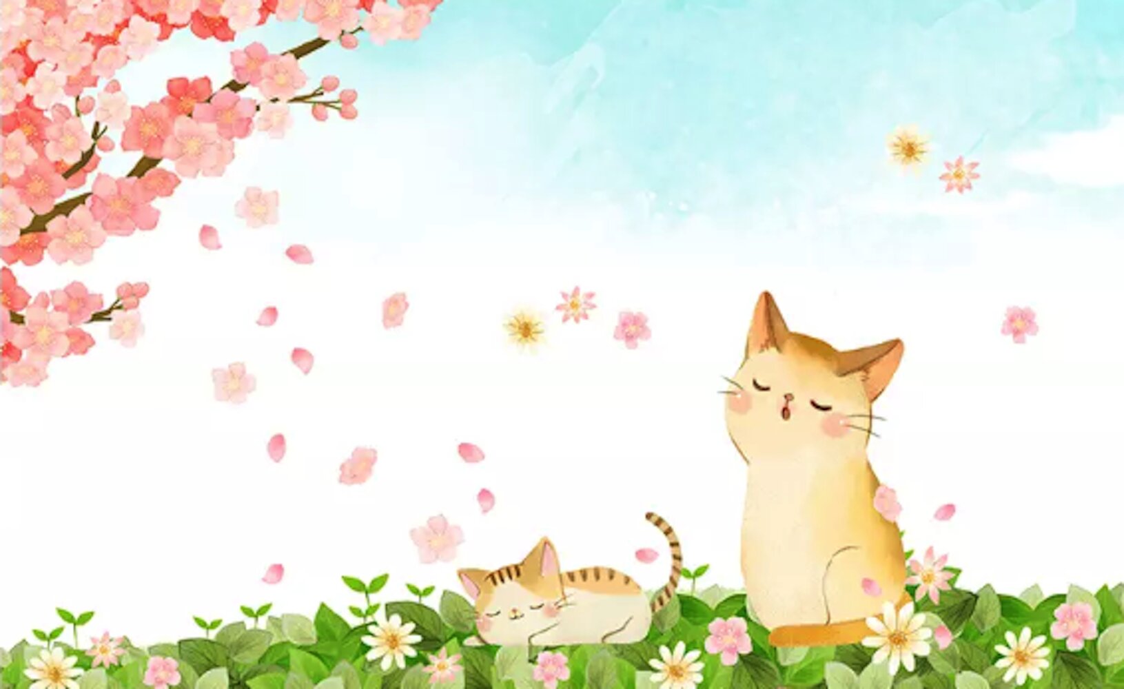 Cat Cartoon Spring Wallpapers - Wallpaper Cave