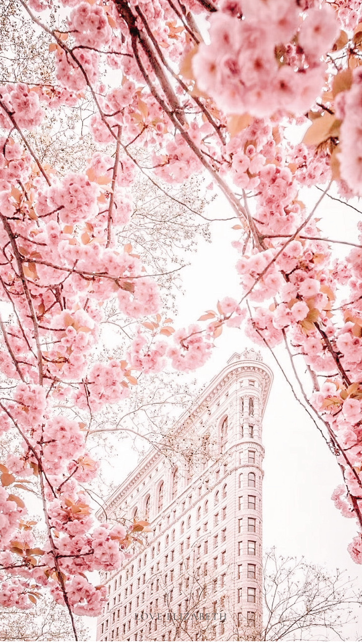 Lofi Spring Pink Wallpapers - Wallpaper Cave