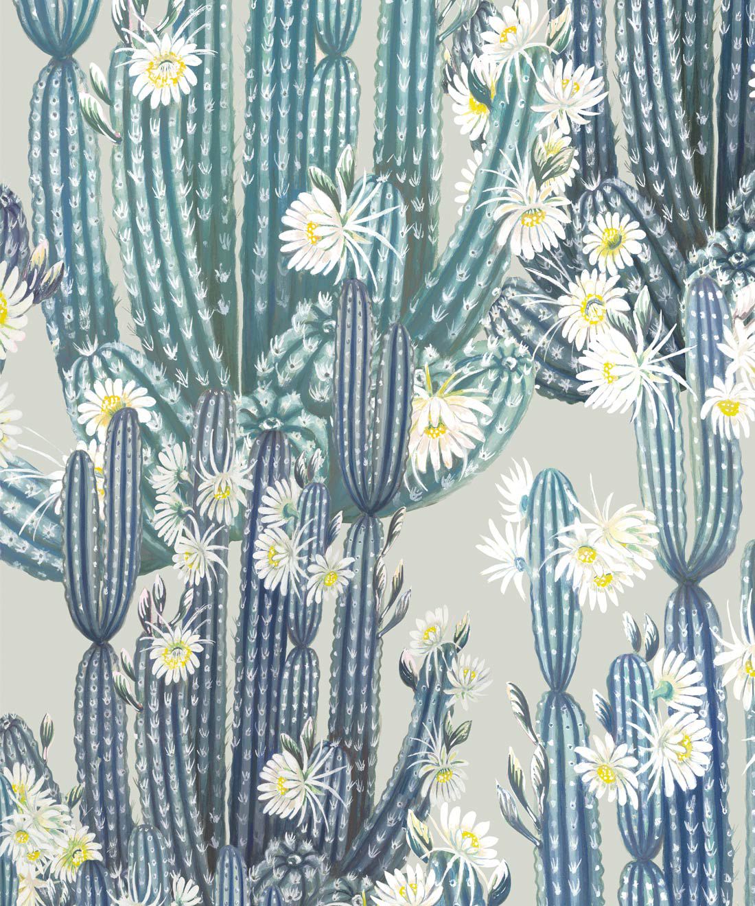 Spring Cactus Wallpapers - Wallpaper Cave