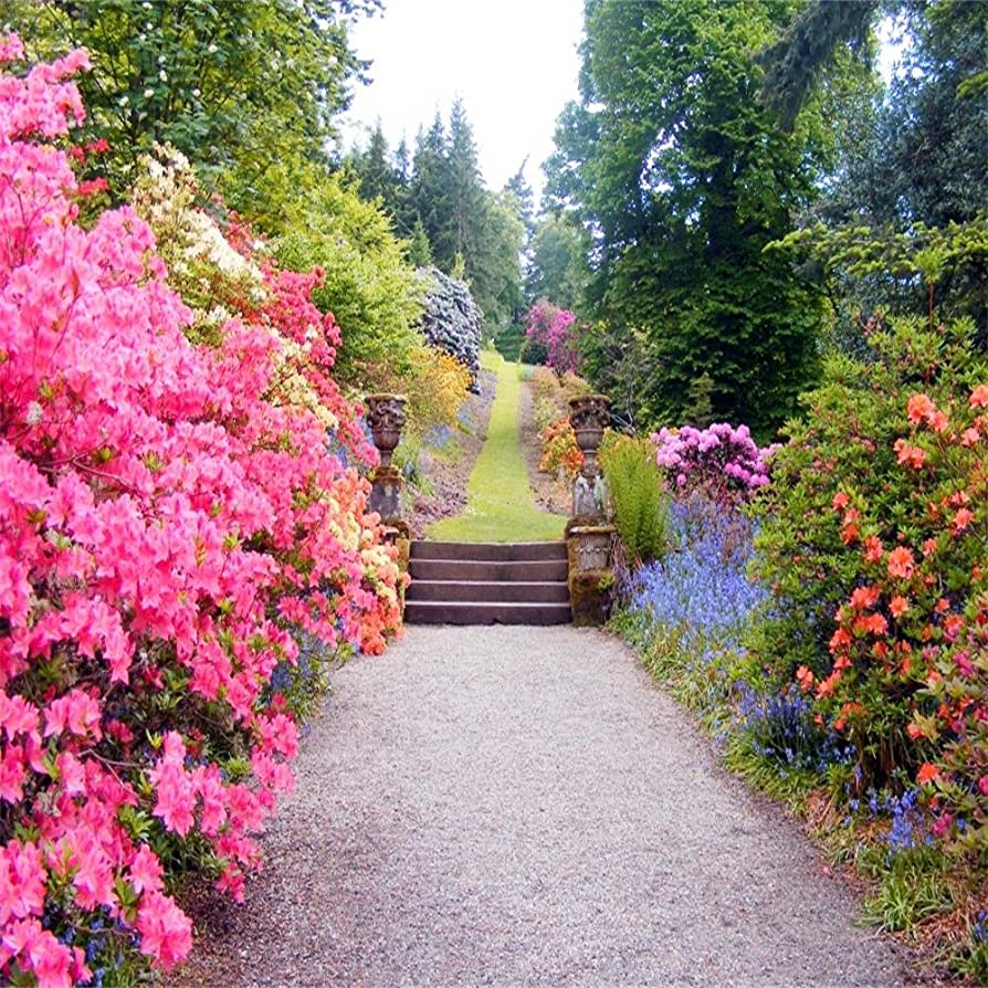 Spring Flowers Landscapes Wallpapers - Wallpaper Cave