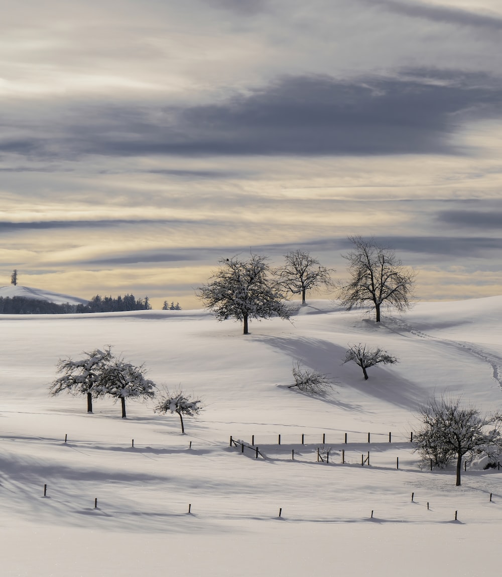 Winter Farmland Wallpapers - Wallpaper Cave