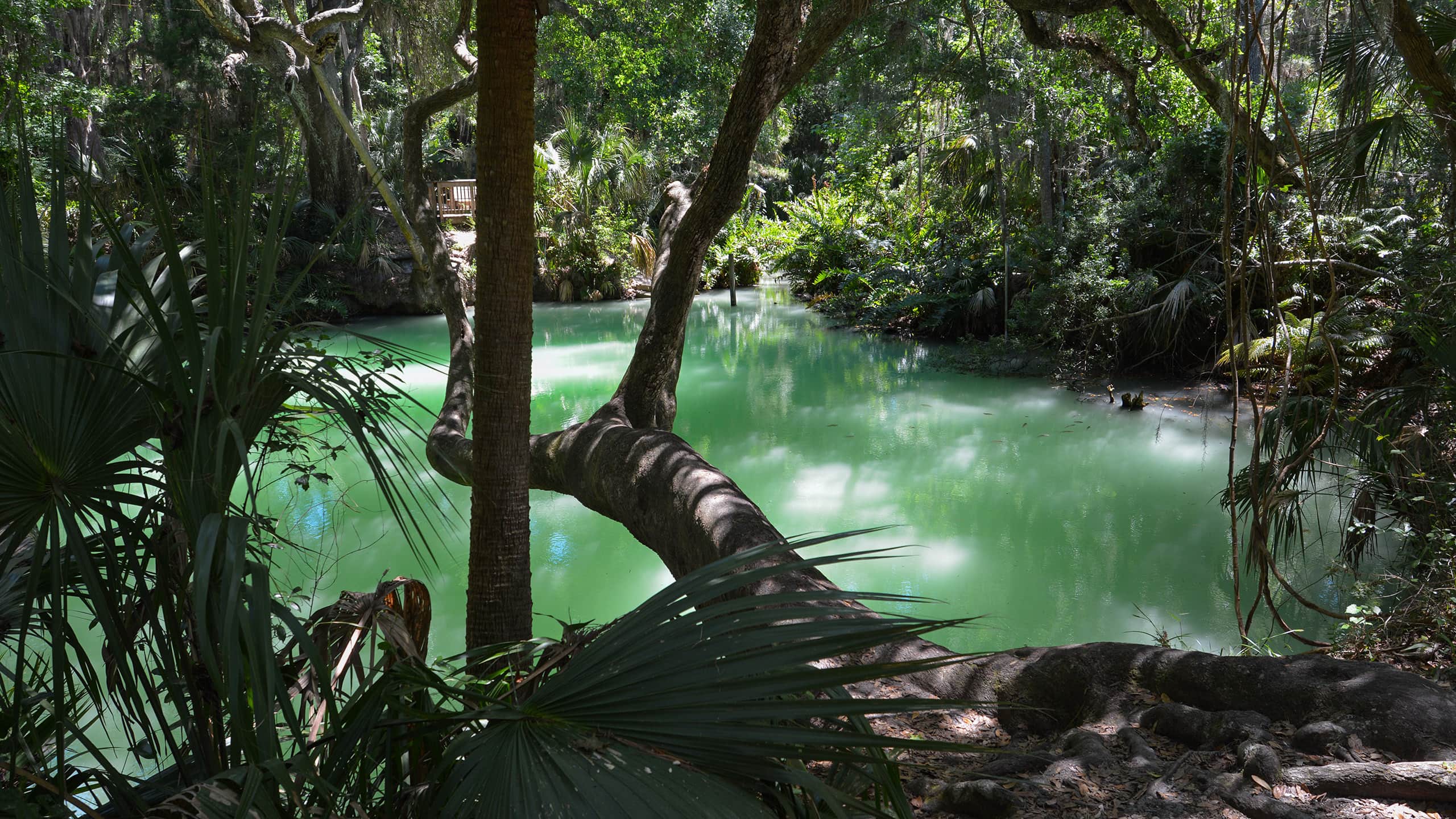 Green Springs Wallpapers - Wallpaper Cave