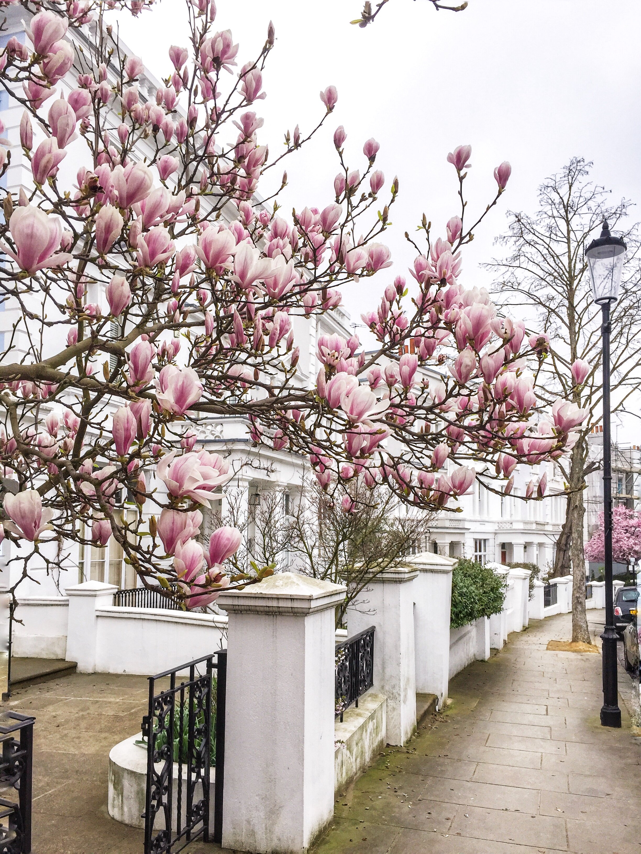 London Street Spring Wallpapers - Wallpaper Cave