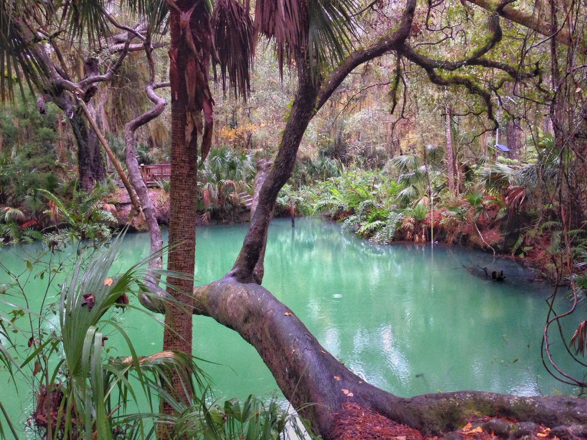 Green Springs Wallpapers - Wallpaper Cave