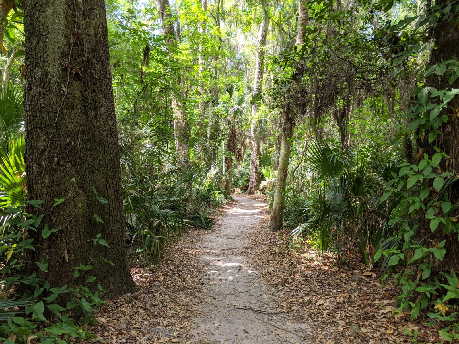 Green Springs Wallpapers - Wallpaper Cave