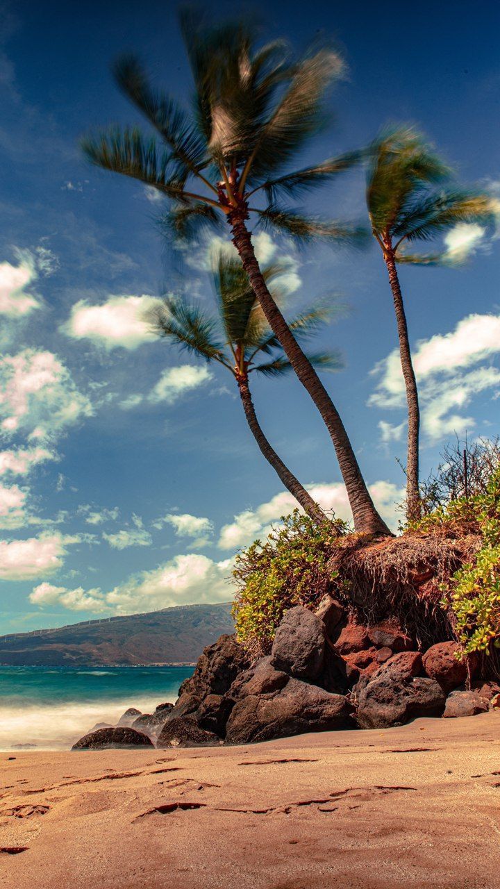 Nature Summer Mobile Wallpapers - Wallpaper Cave