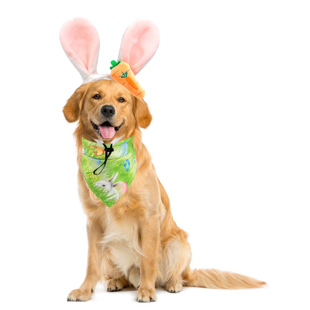 Cat And Dog Easter Wallpapers - Wallpaper Cave