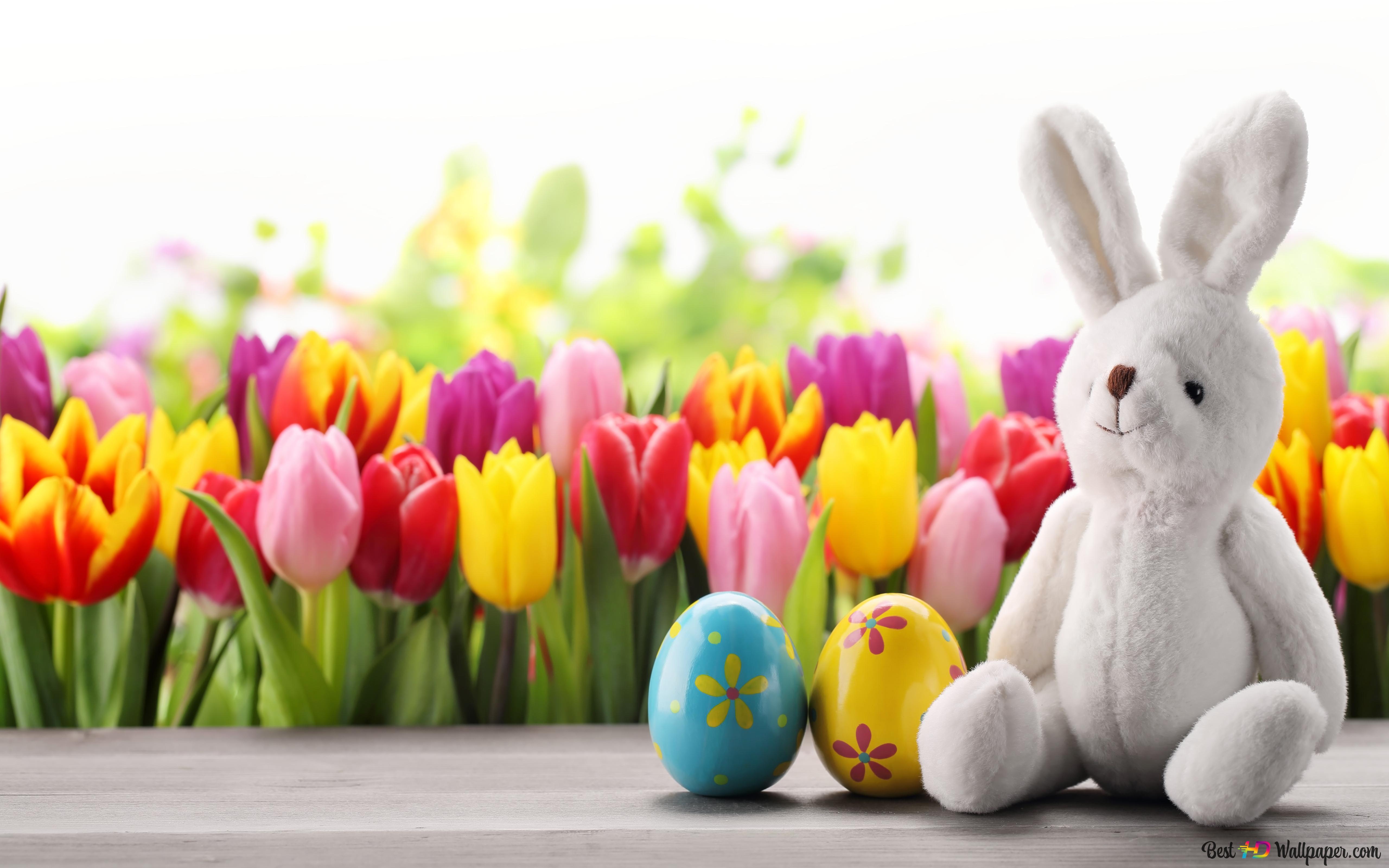 Easter 8k Wallpapers - Wallpaper Cave