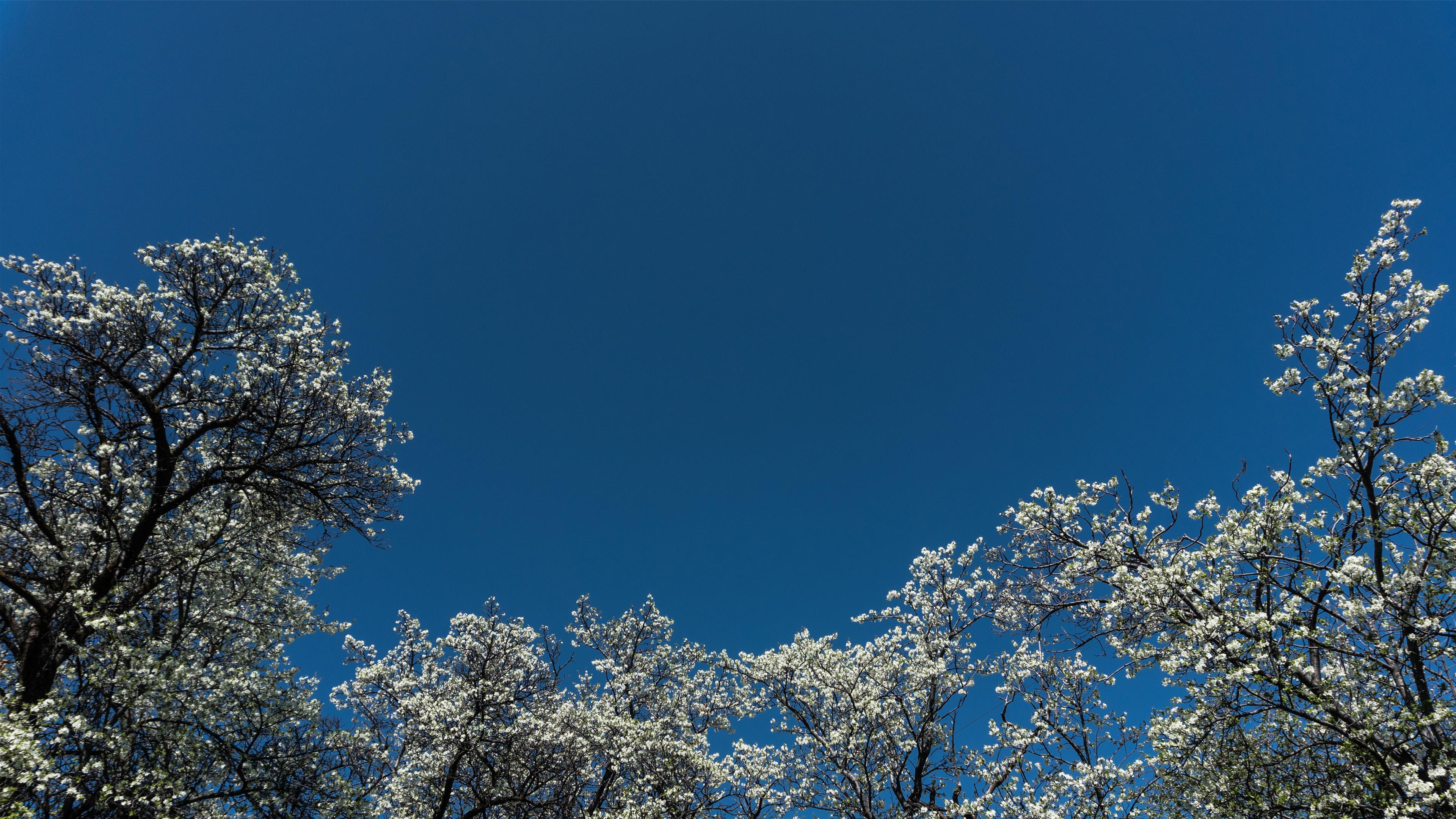 Outside Spring 4k Wallpapers - Wallpaper Cave