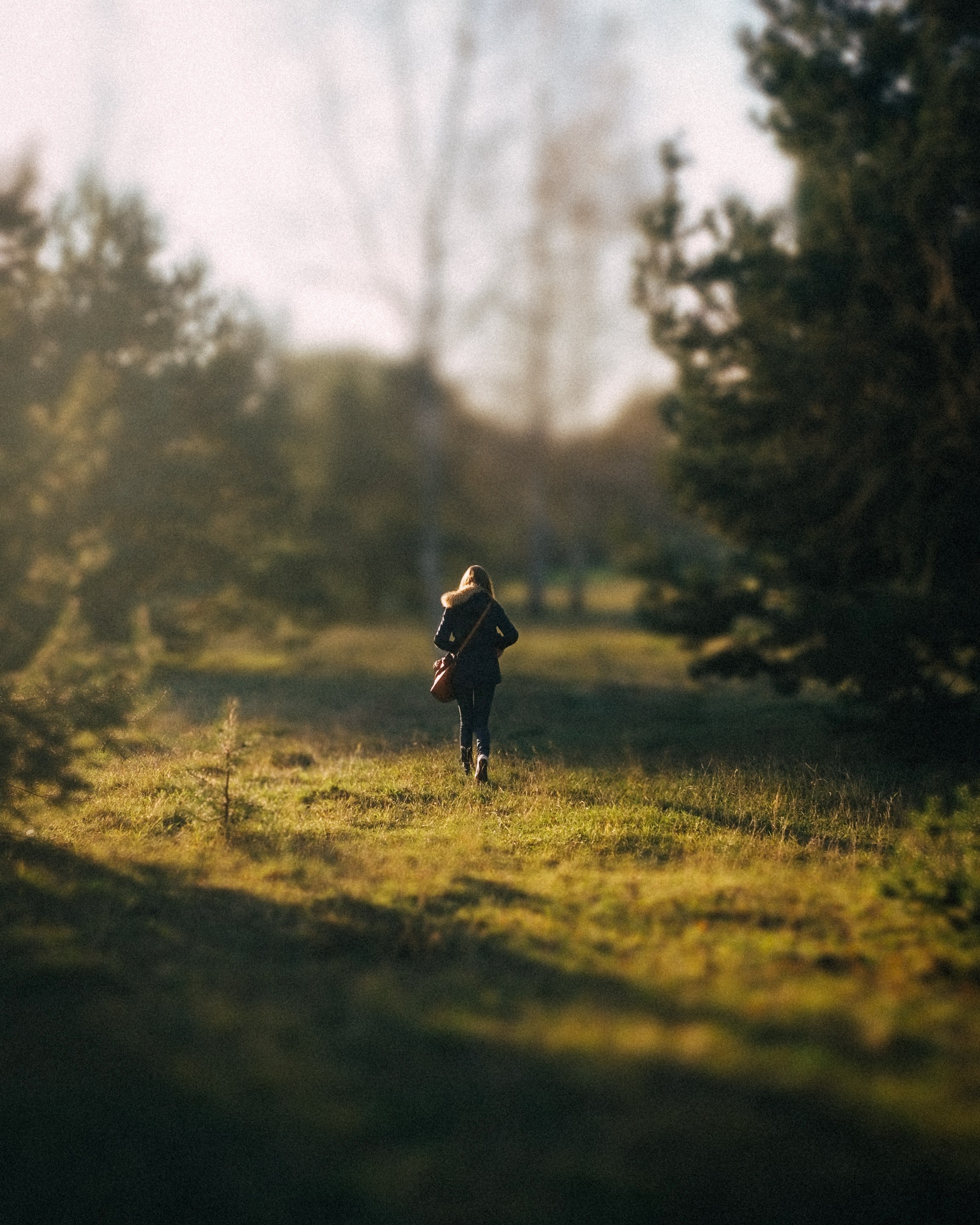 Outside Spring 4k Wallpapers - Wallpaper Cave