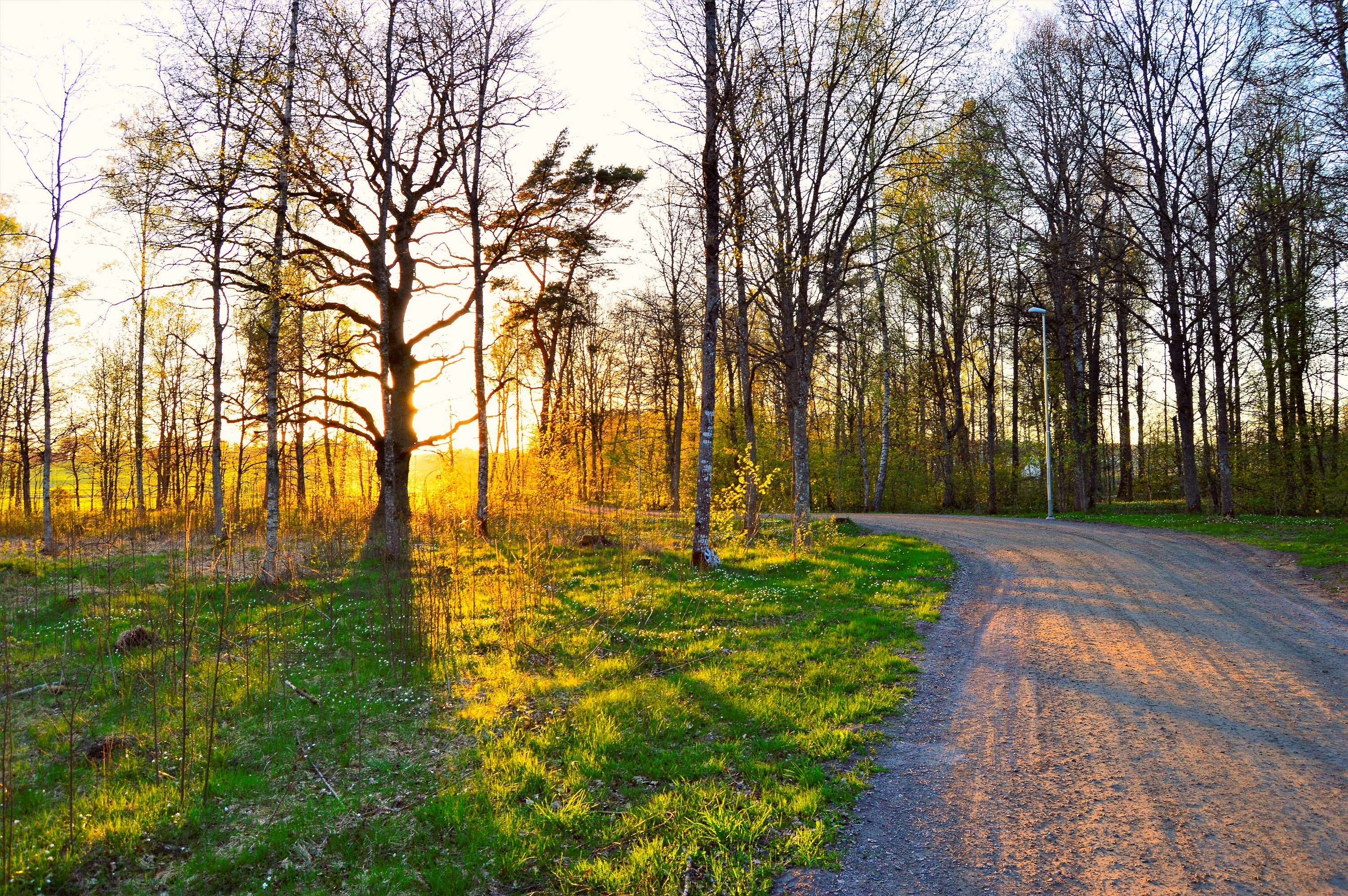 Outside Spring 4k Wallpapers - Wallpaper Cave