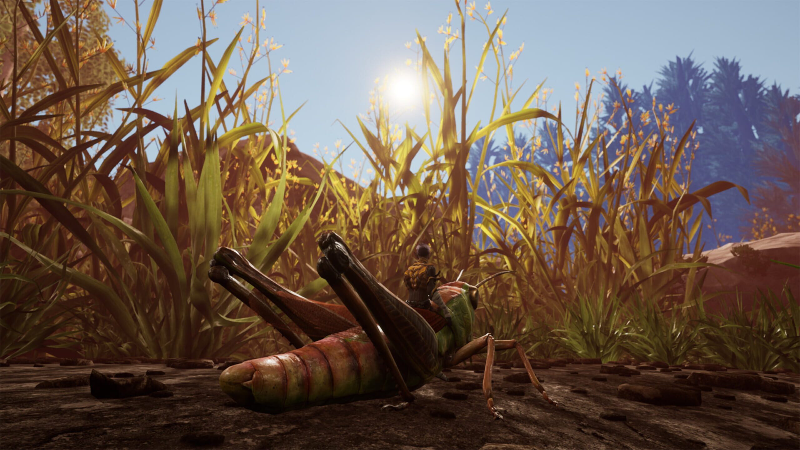 Smalland: Survive The Wilds Wallpapers - Wallpaper Cave Smalland: Survive The Wilds Wallpapers - Wallpaper Cave