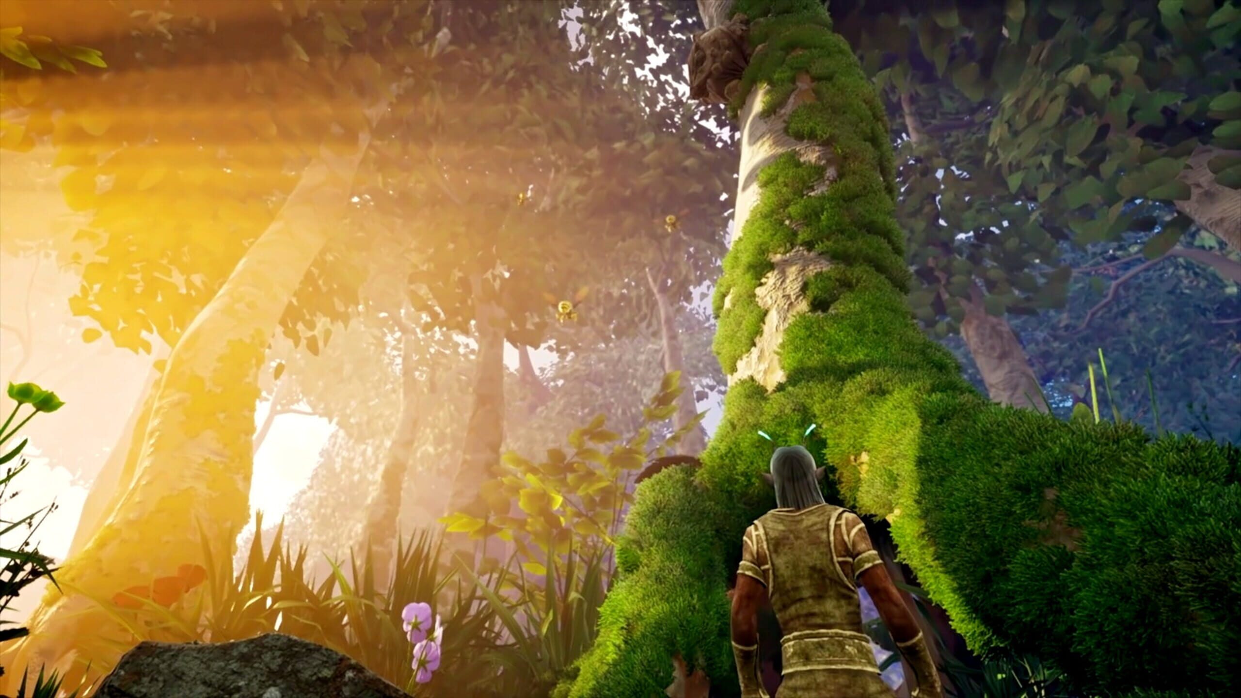 Smalland: Survive The Wilds Wallpapers - Wallpaper Cave