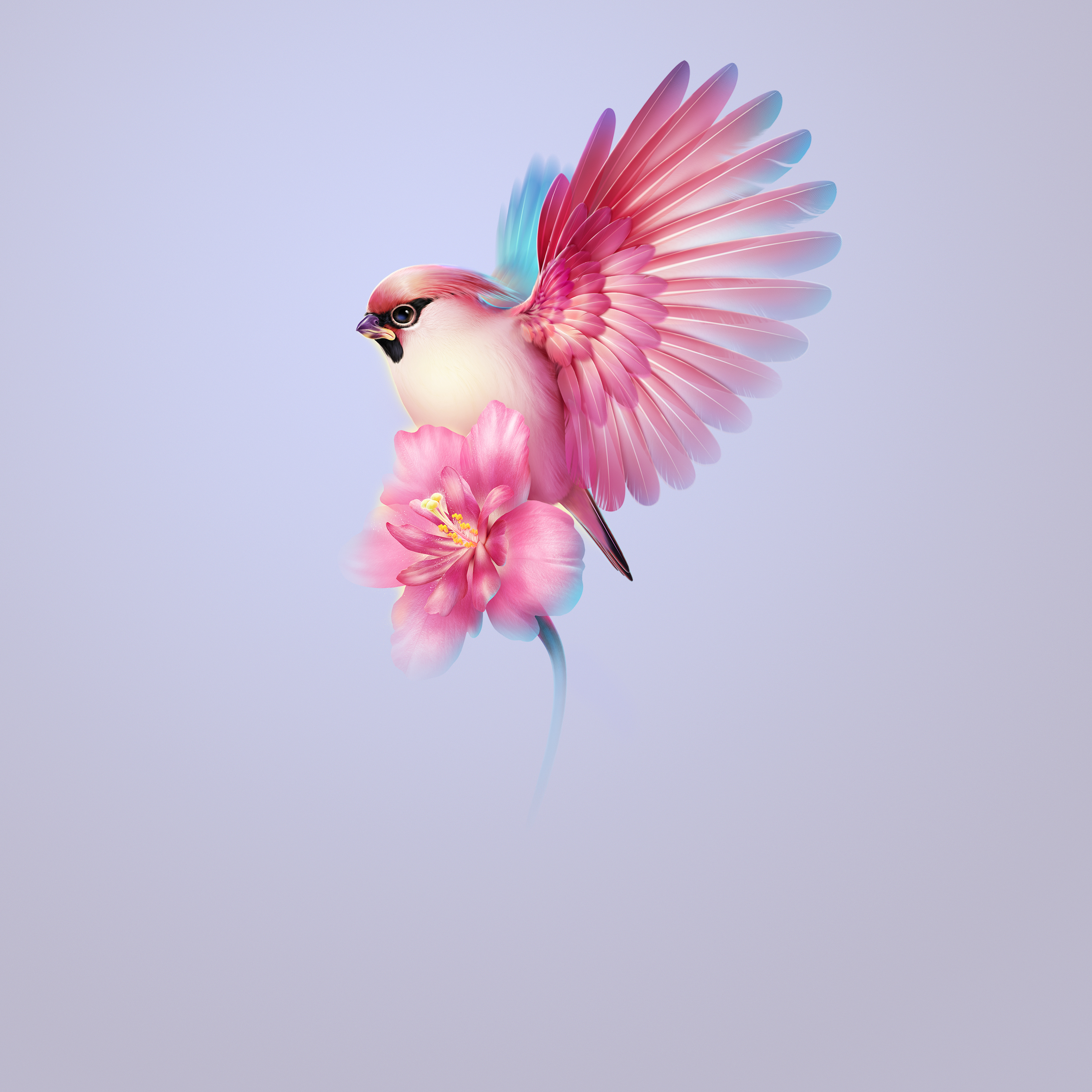 Huawei Mate X3 Wallpapers - Wallpaper Cave