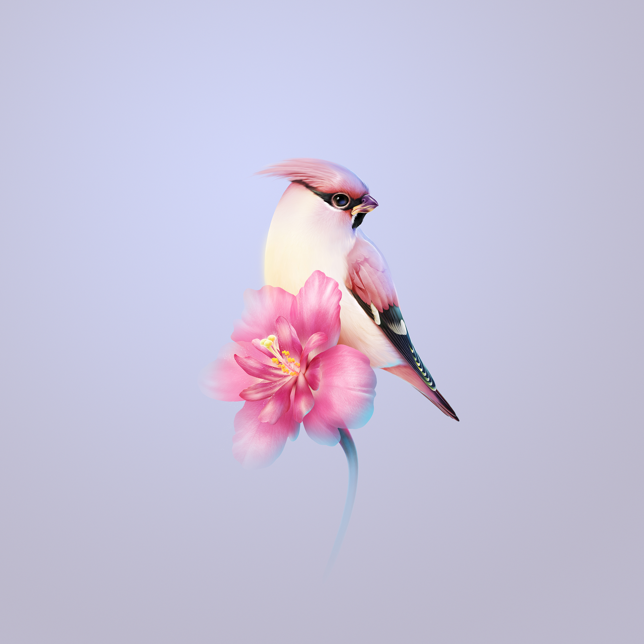 Huawei Mate X3 Wallpapers - Wallpaper Cave