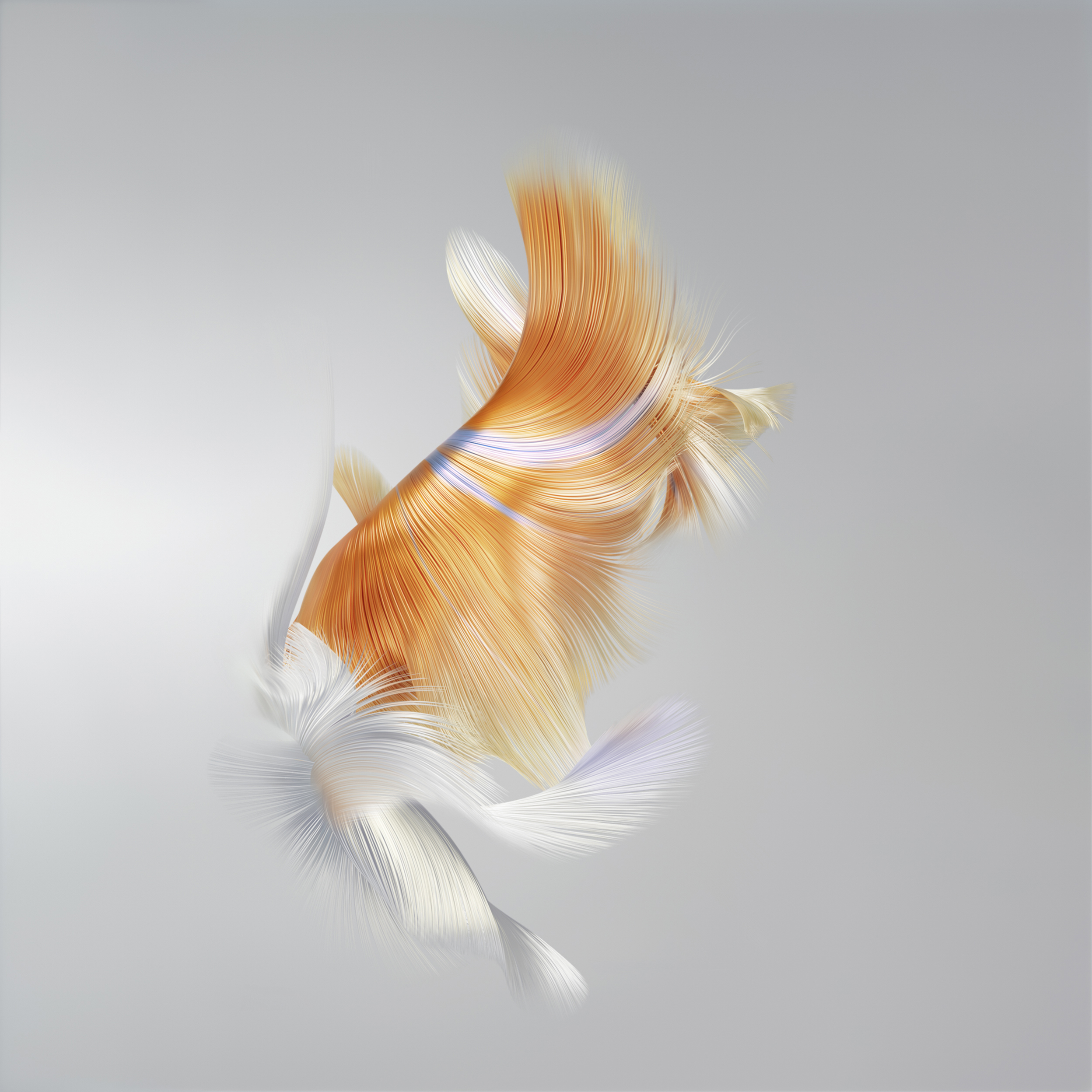 Huawei Mate X3 Wallpapers - Wallpaper Cave