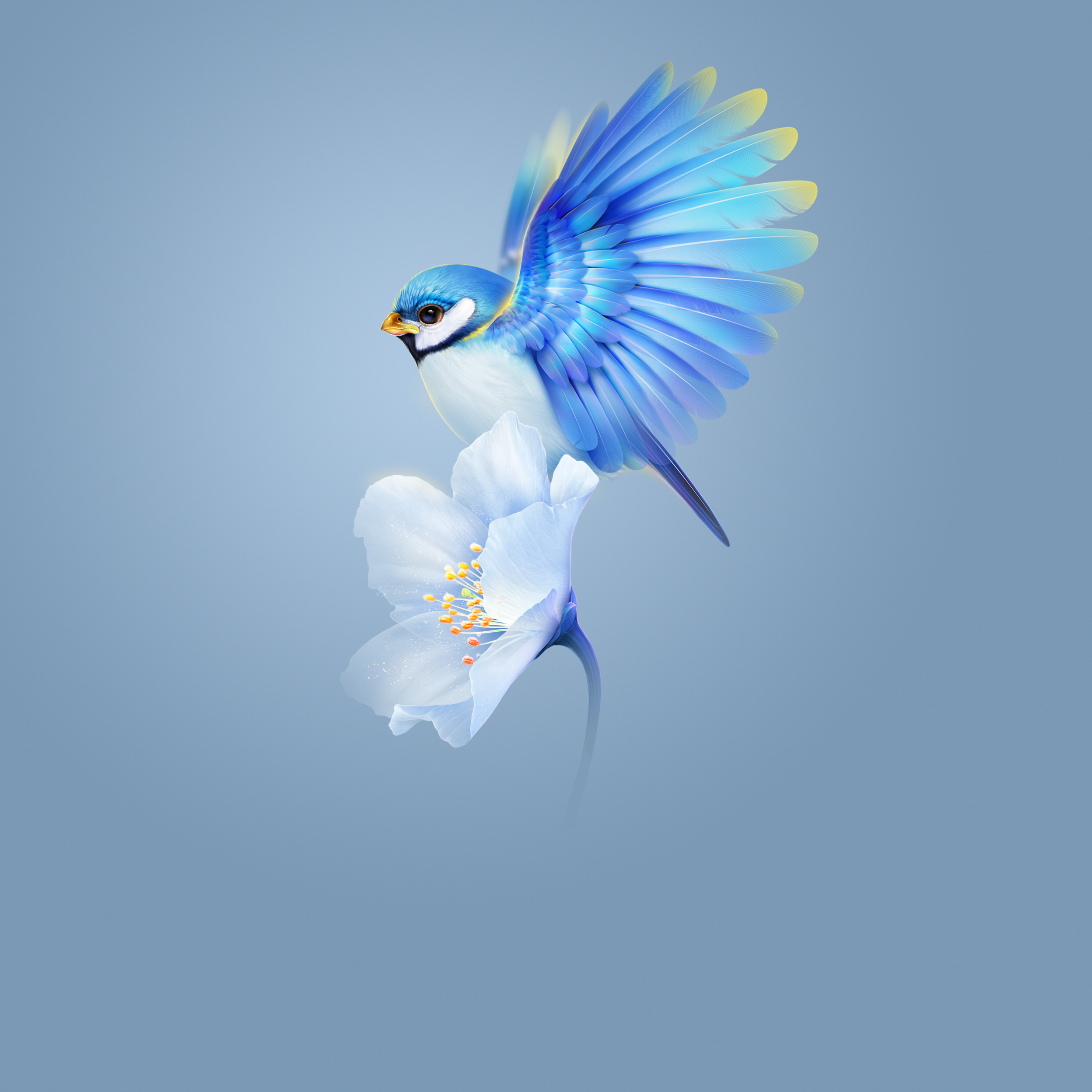 Huawei Mate X3 Wallpapers - Wallpaper Cave