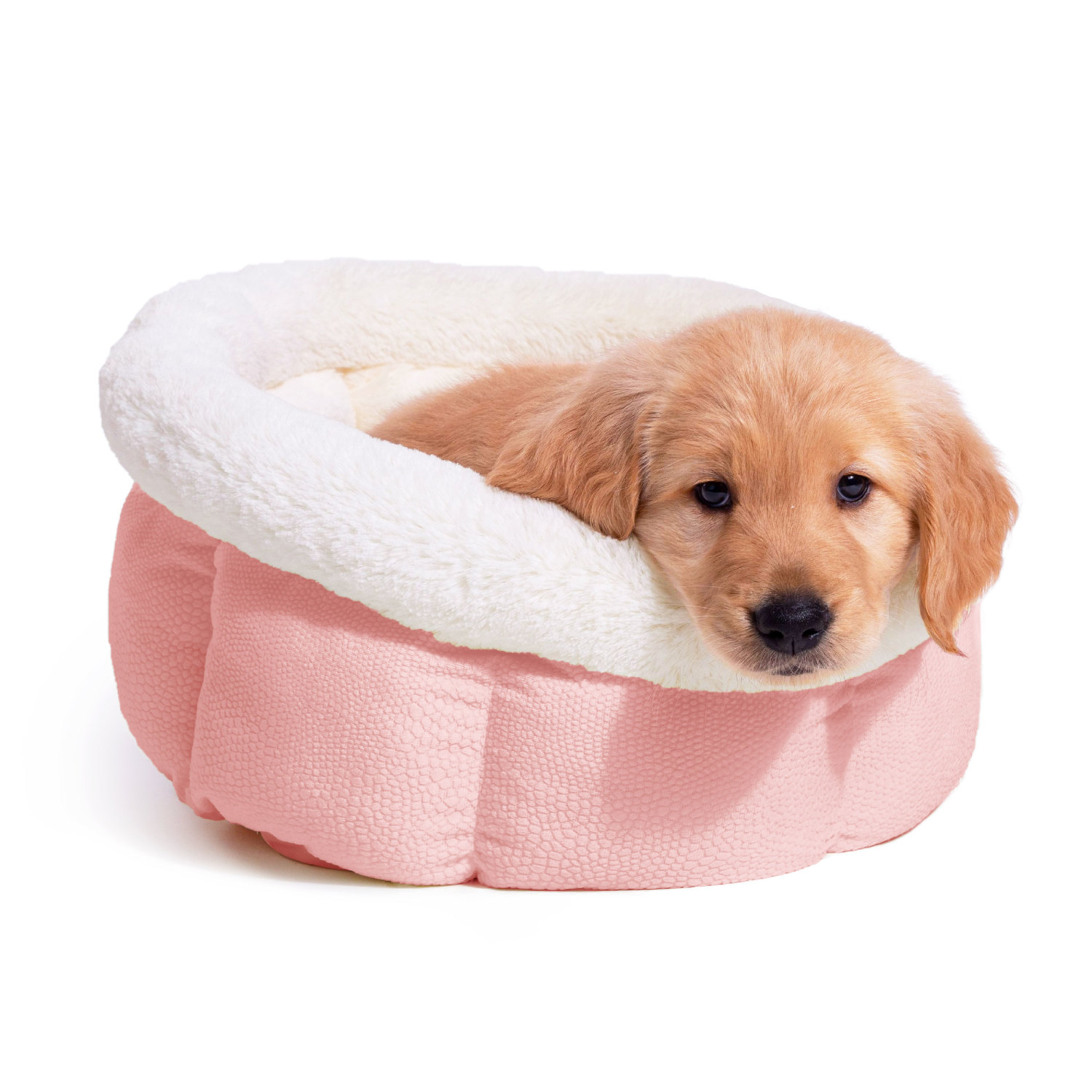 Dog Beds Wallpapers - Wallpaper Cave