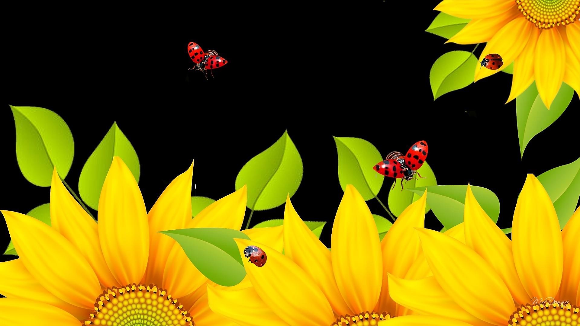 Yellow Flowers And Ladybug Wallpapers - Wallpaper Cave