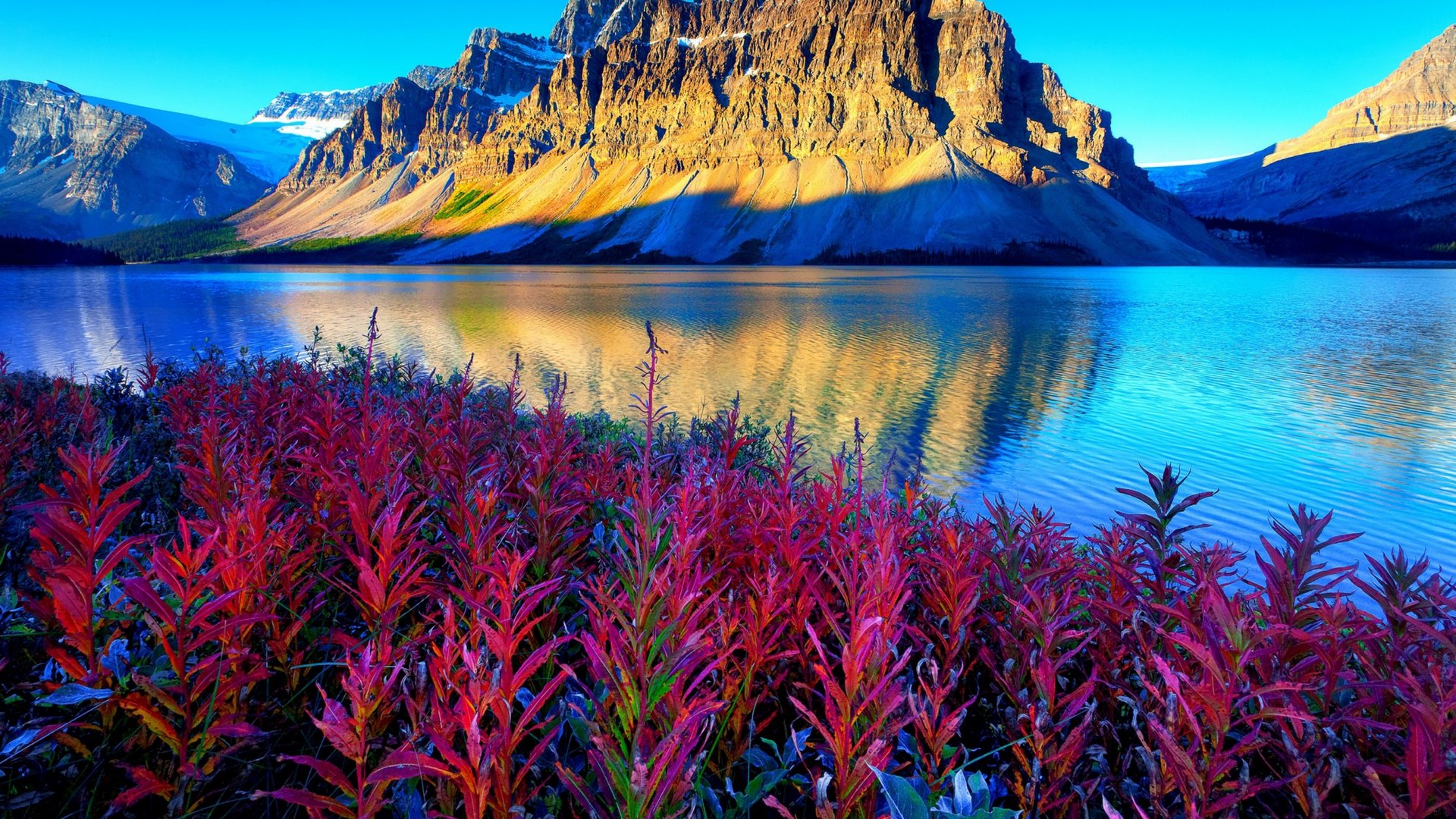 Morning Calm HD Wallpapers - Wallpaper Cave