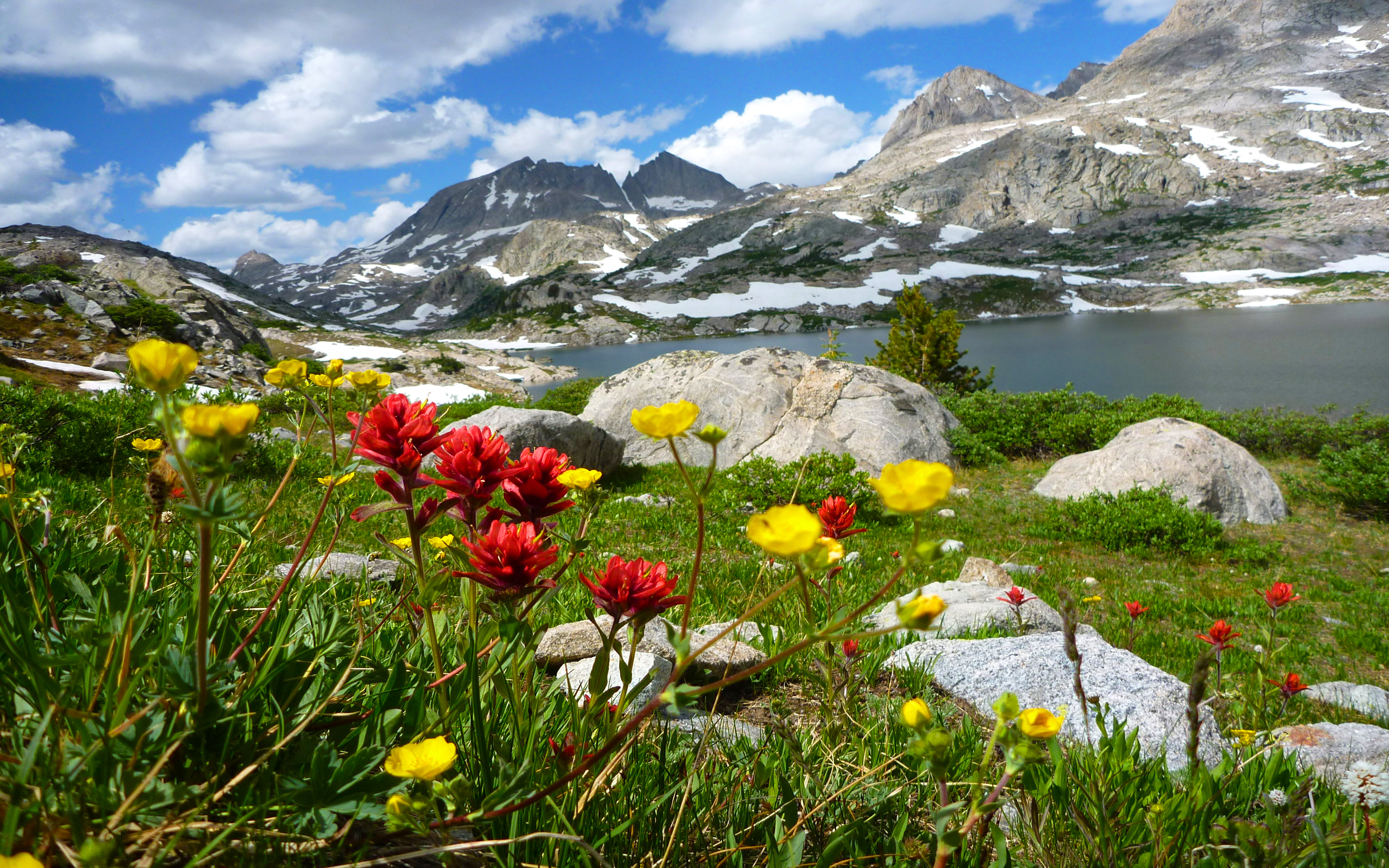Spring Flowers Lakes Wallpapers - Wallpaper Cave