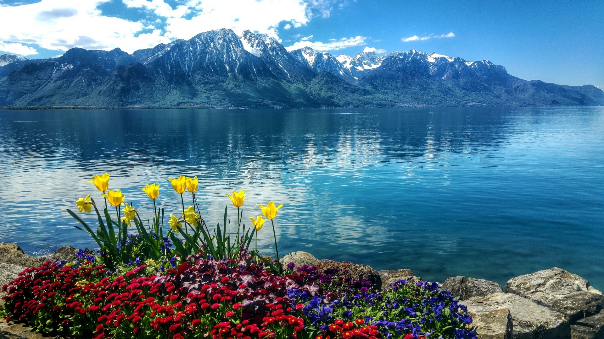 Spring Flowers Lakes Wallpapers - Wallpaper Cave