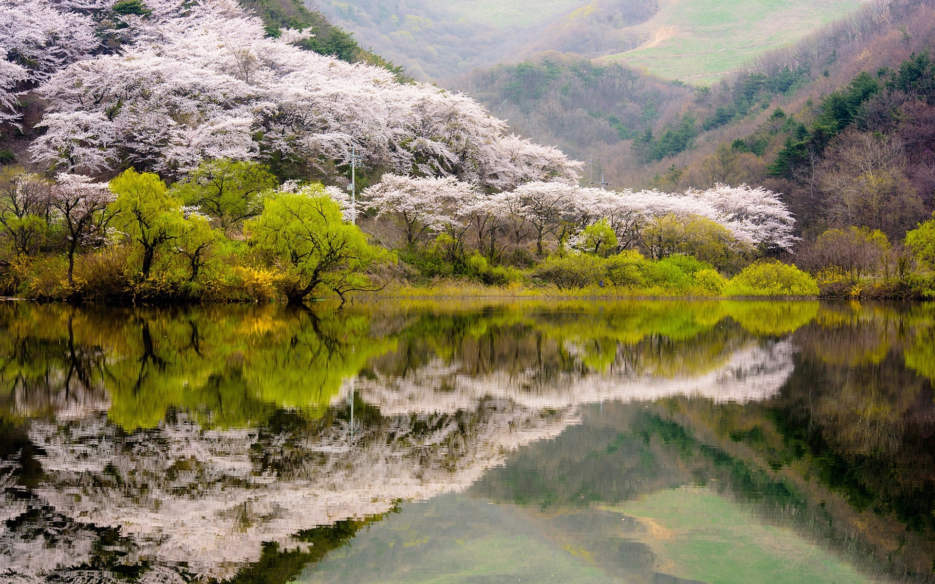 Spring Flowers Lakes Wallpapers - Wallpaper Cave