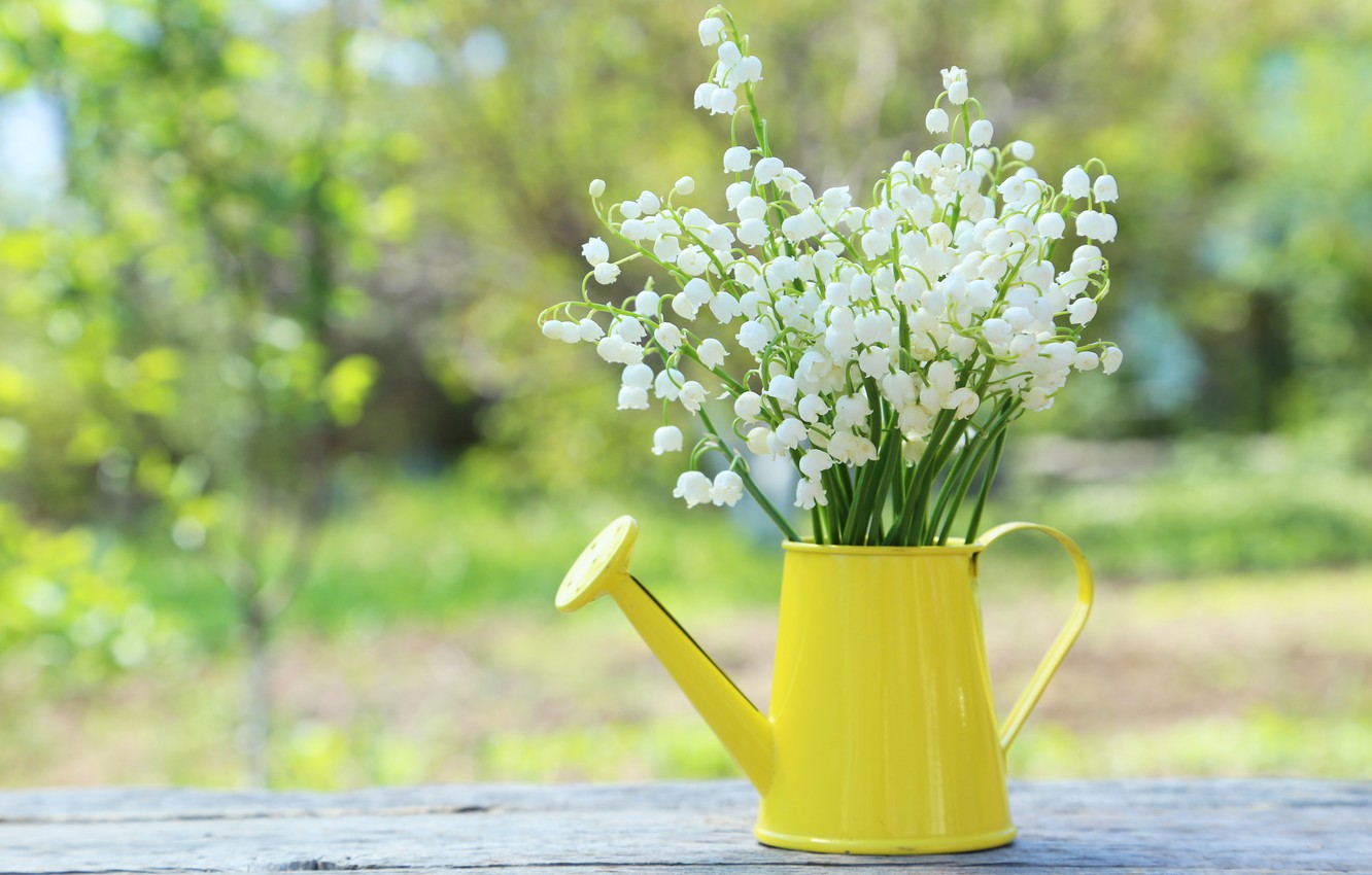 Spring Lake Desktop Wallpapers - Wallpaper Cave