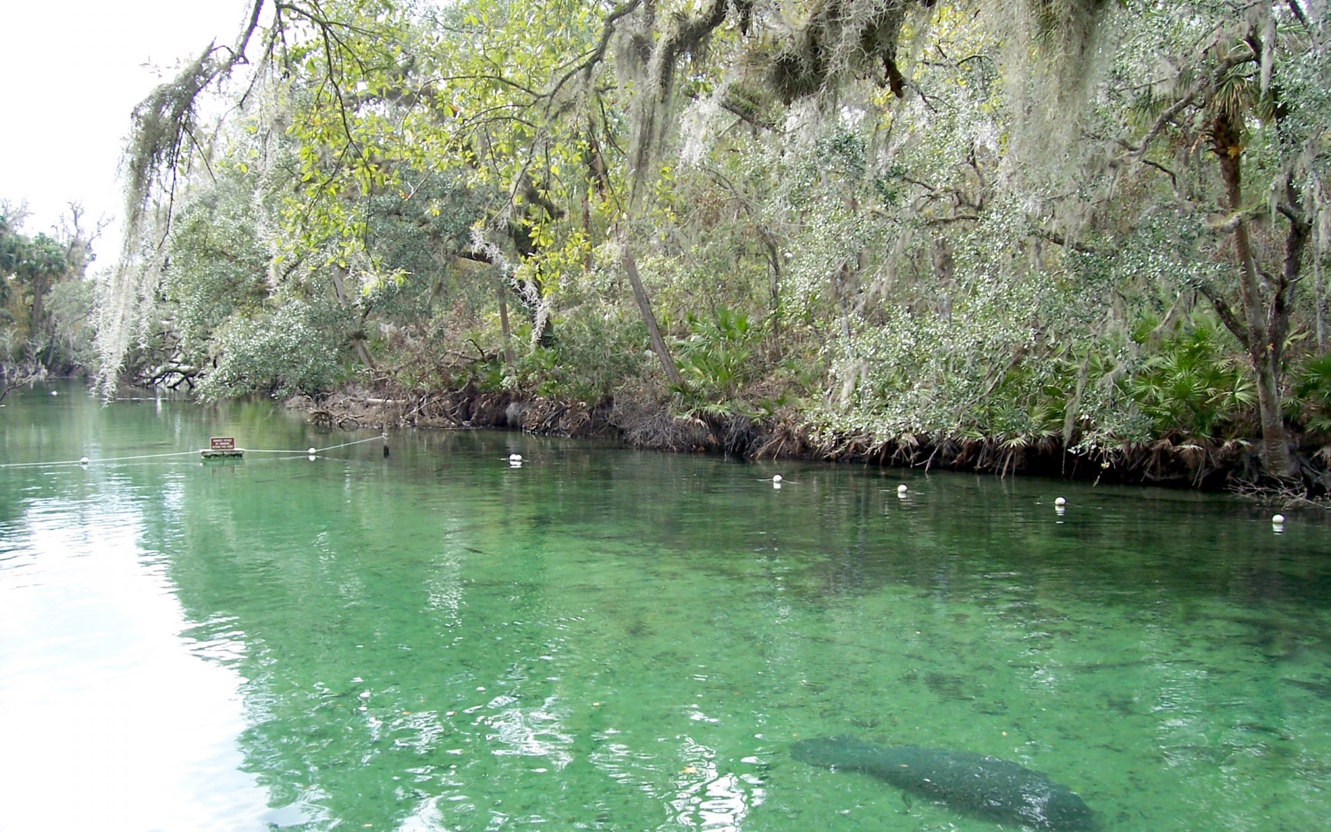 Spring Lake Desktop Wallpapers - Wallpaper Cave