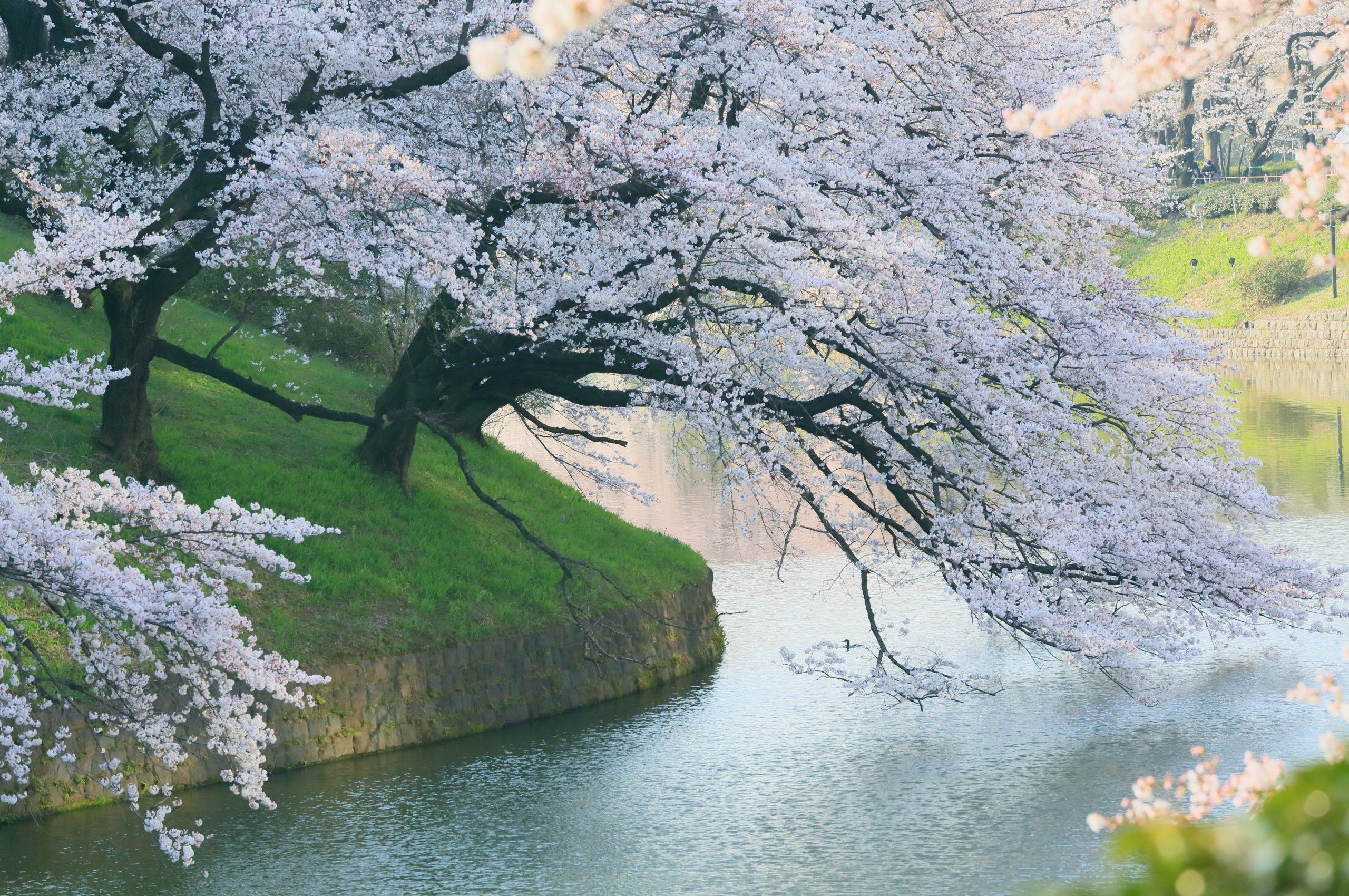 Spring Lake Desktop Wallpapers - Wallpaper Cave