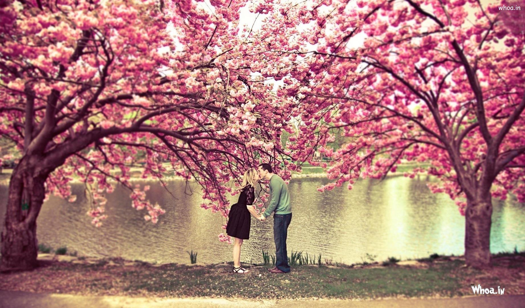 Romantic Spring HD Wallpapers - Wallpaper Cave