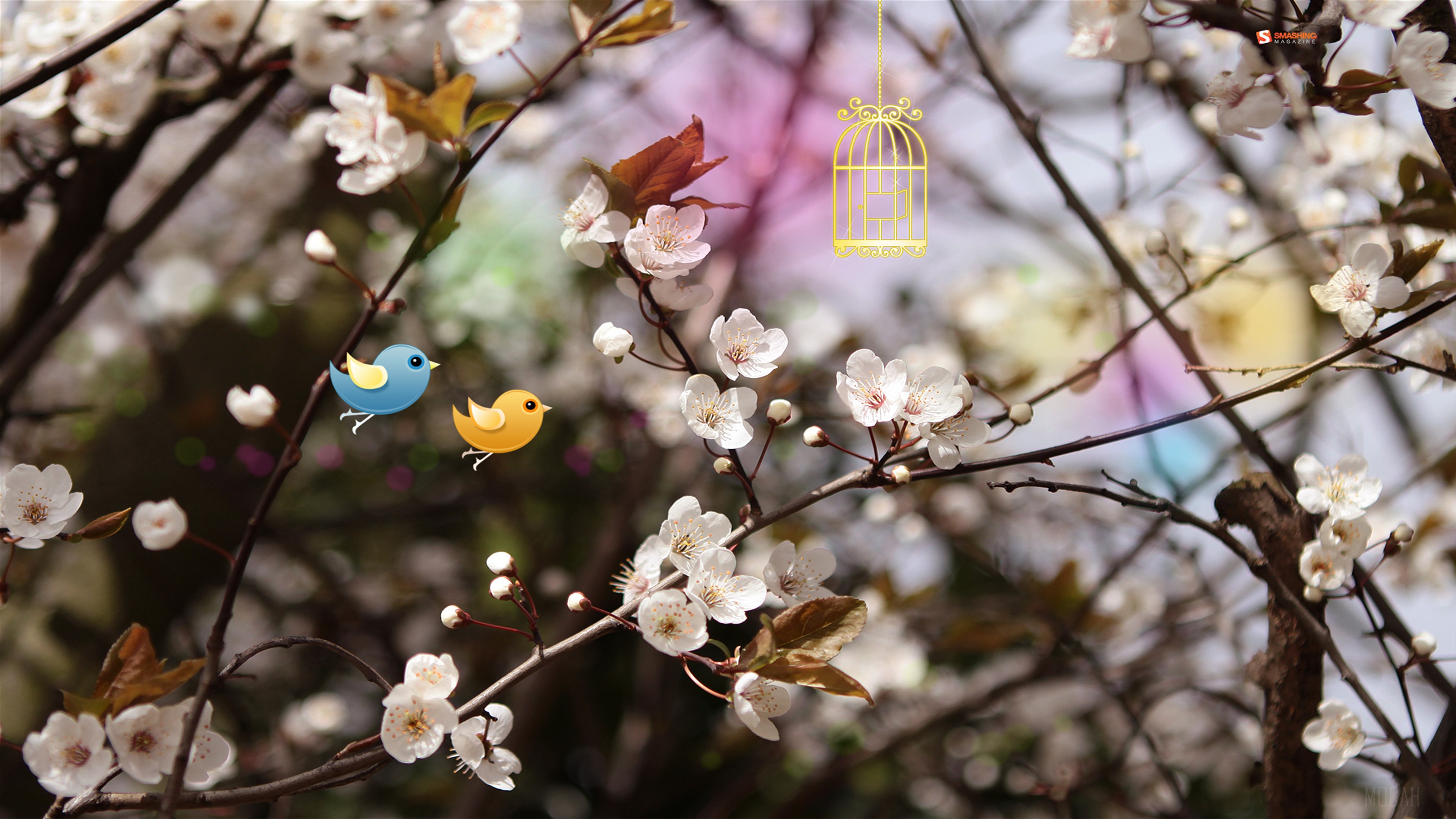 Romantic Spring HD Wallpapers - Wallpaper Cave