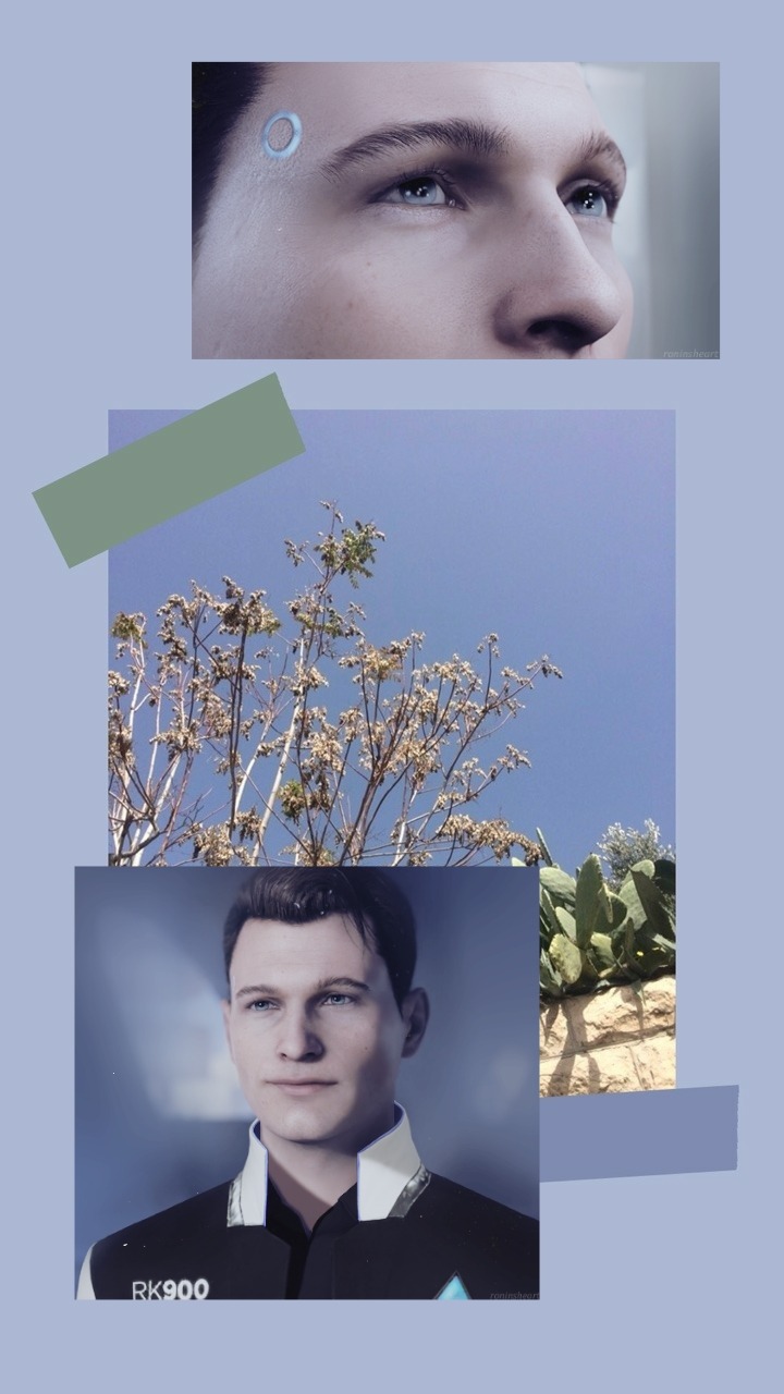 Detroit Become Human Connor And Nines Wallpapers - Wallpaper Cave