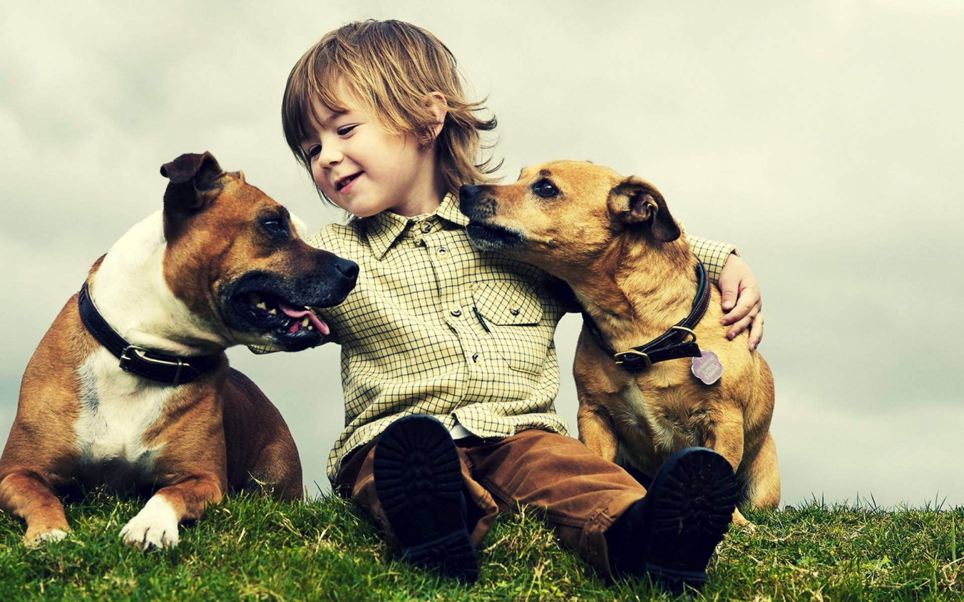 Dog Best Friends Wallpapers - Wallpaper Cave