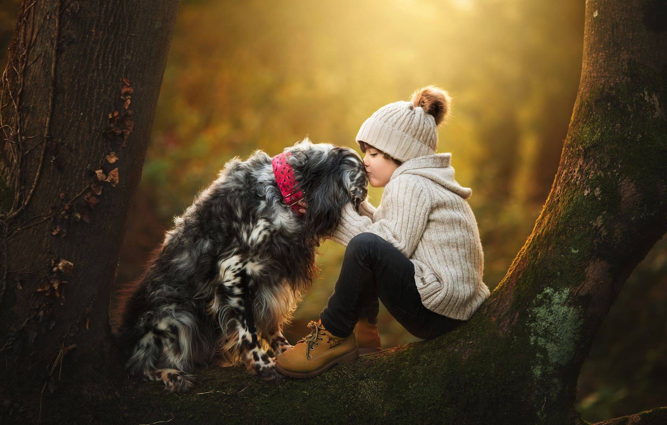 Dog Best Friends Wallpapers - Wallpaper Cave