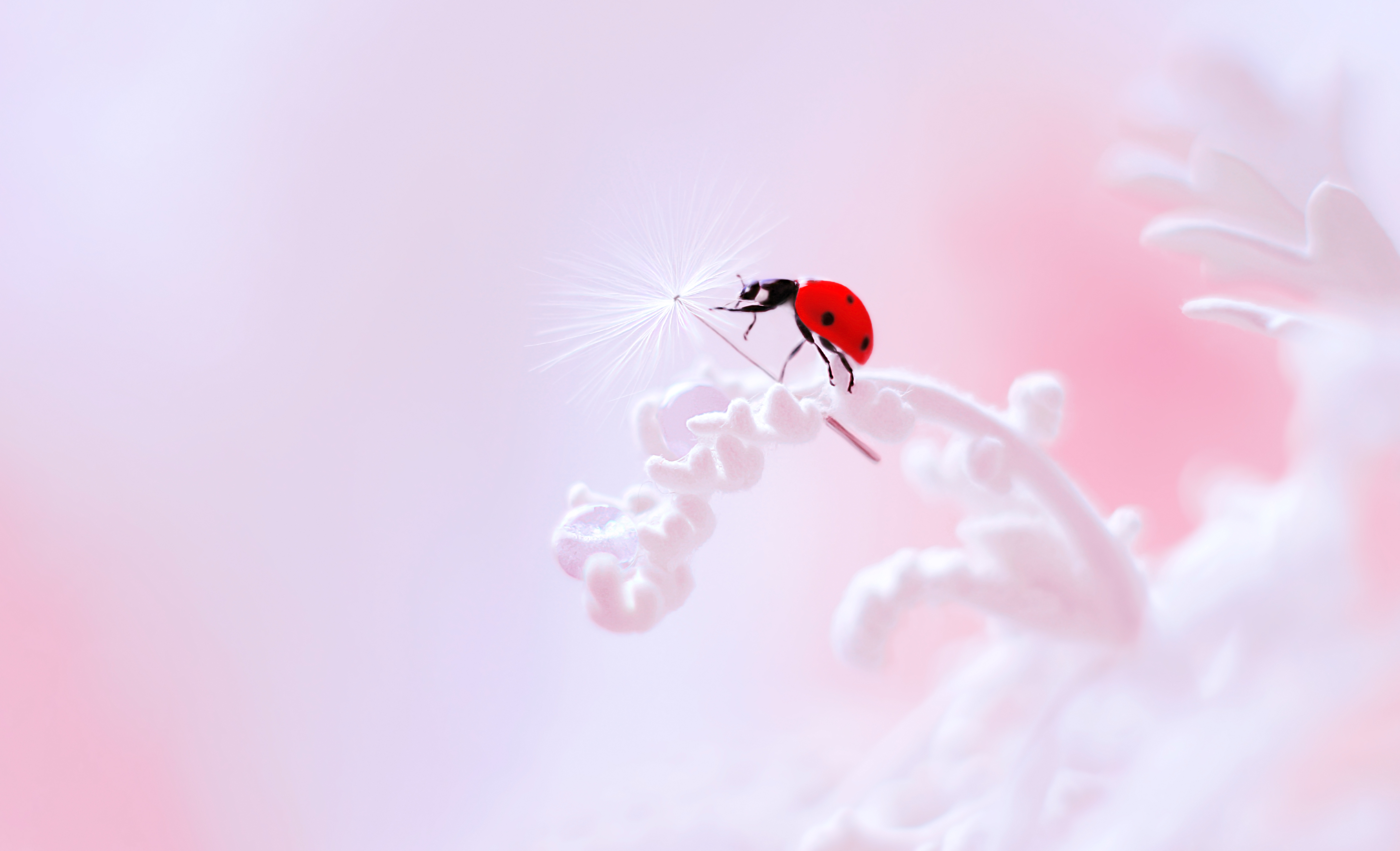 Pretty Spring Colors Wallpapers - Wallpaper Cave