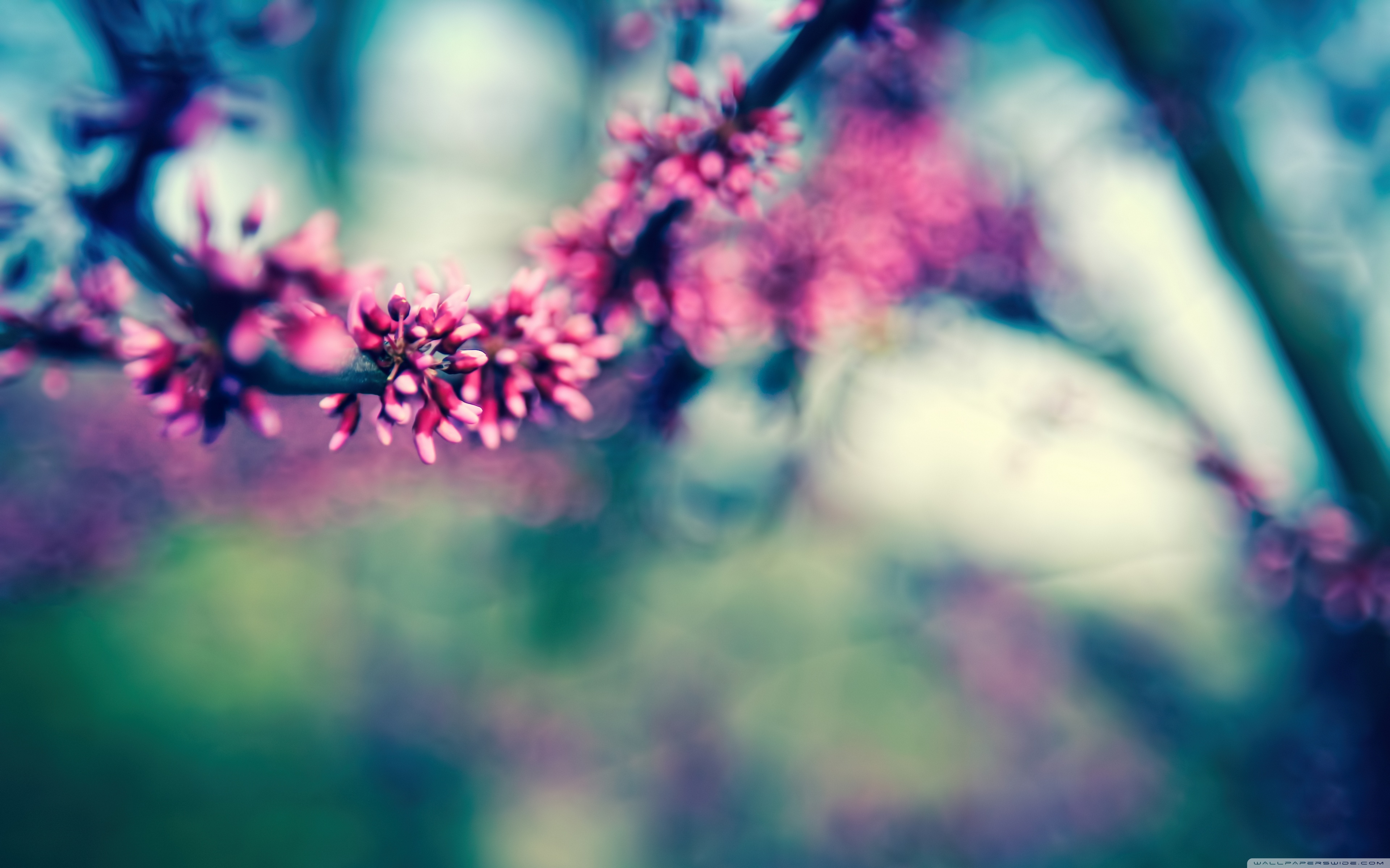 Pretty Spring Colors Wallpapers - Wallpaper Cave