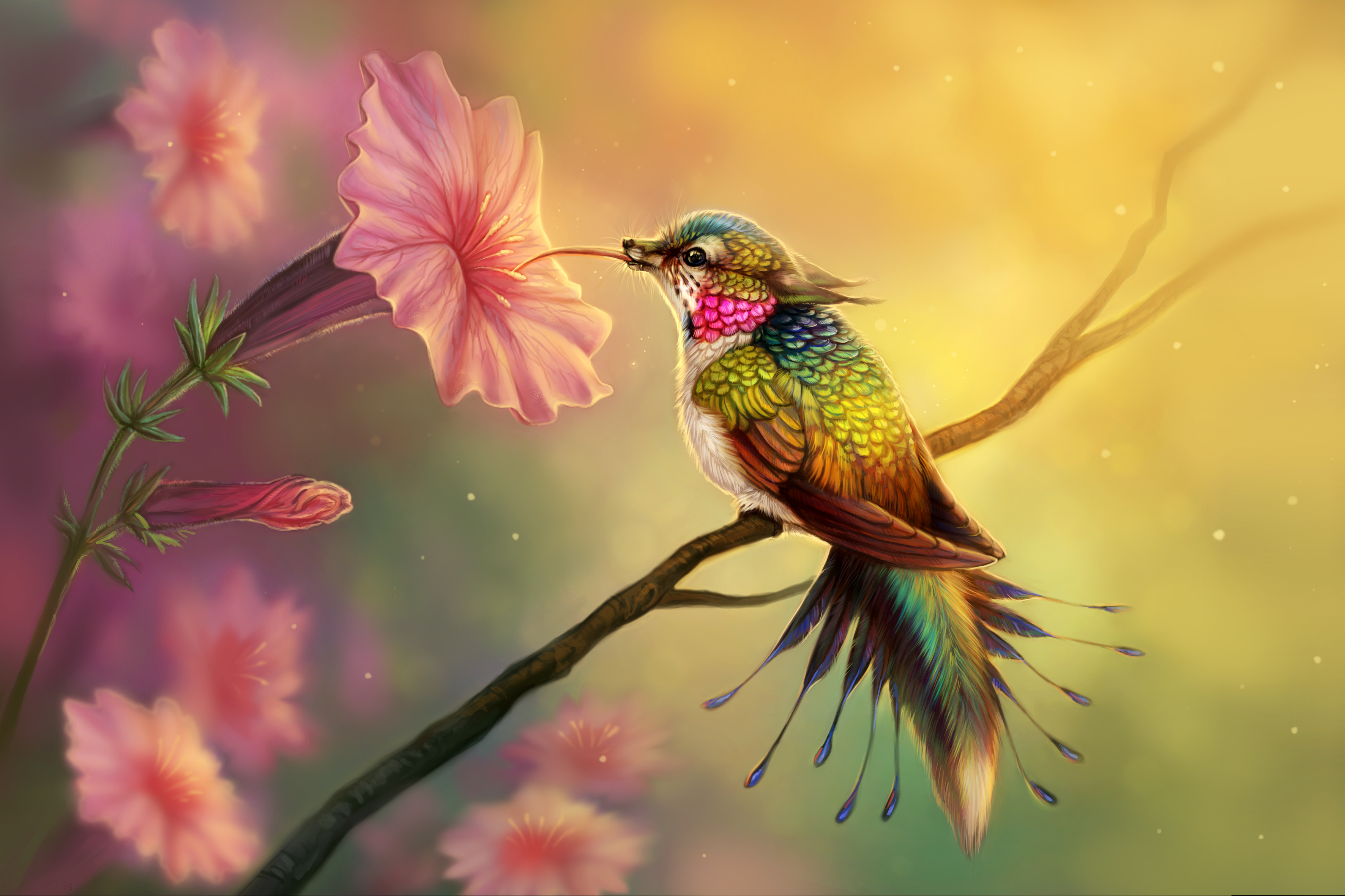 Spring Hummingbird Flowers Wallpapers - Wallpaper Cave