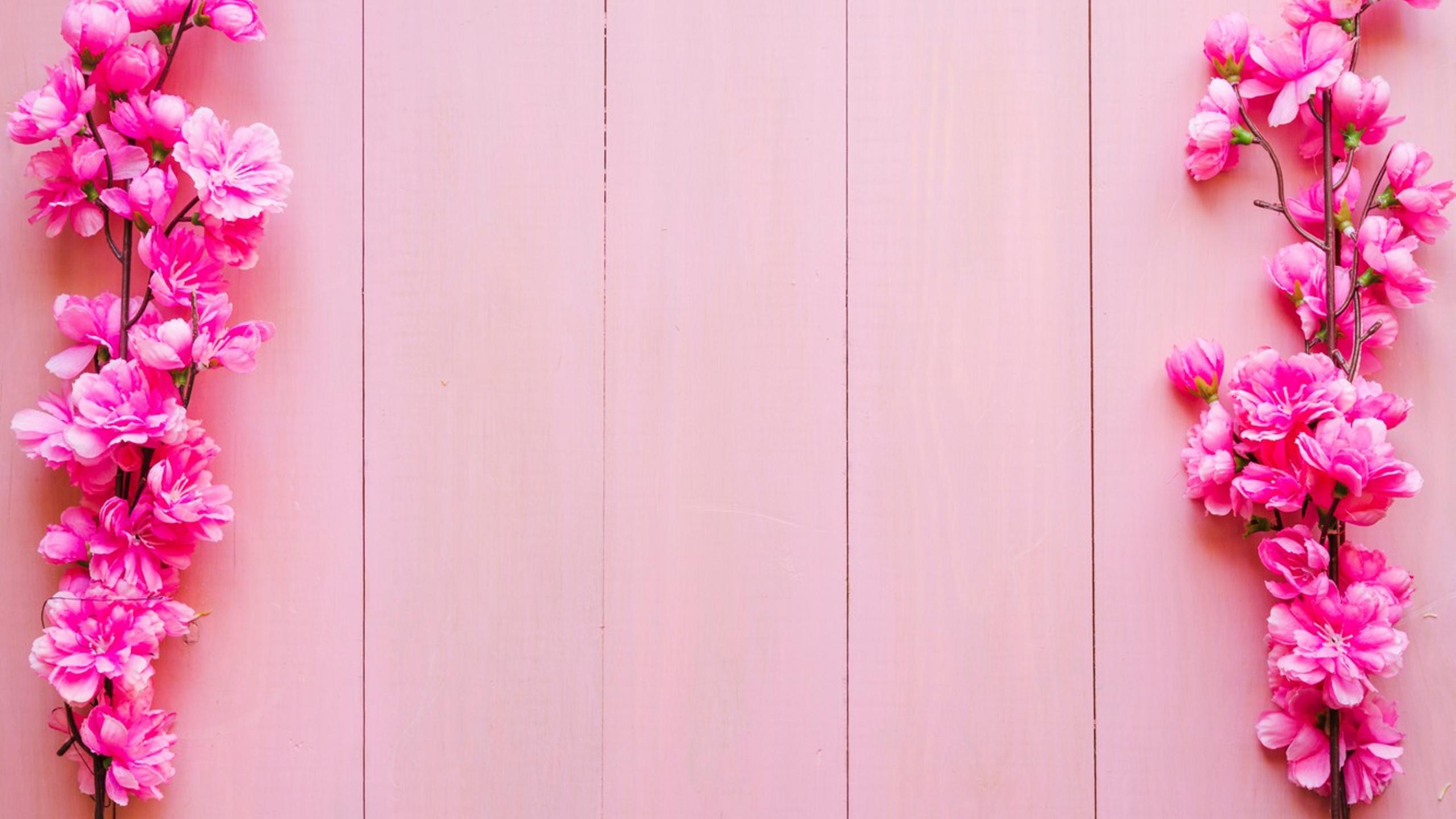 Pink Spring Flowers HD Wallpapers - Wallpaper Cave