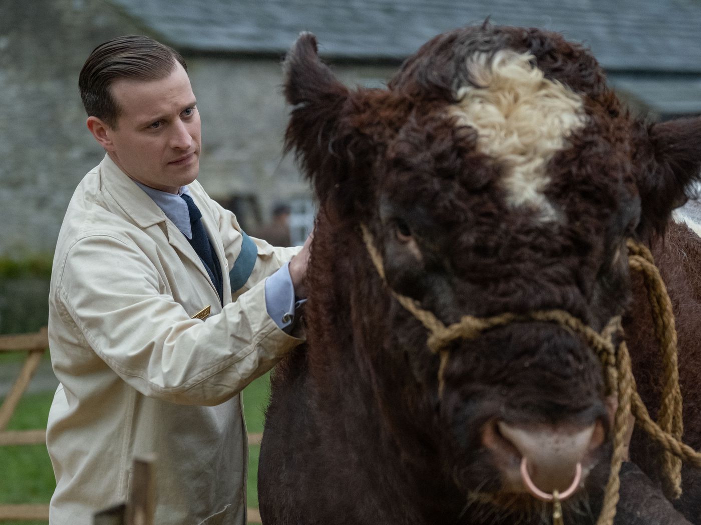 All Creatures Great And Small Wallpapers - Wallpaper Cave