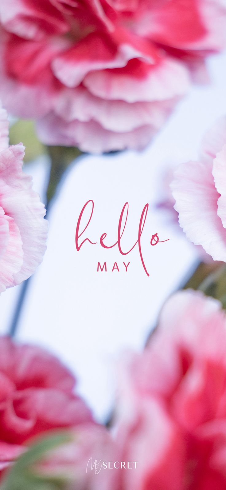 Hello May Wallpapers - Wallpaper Cave