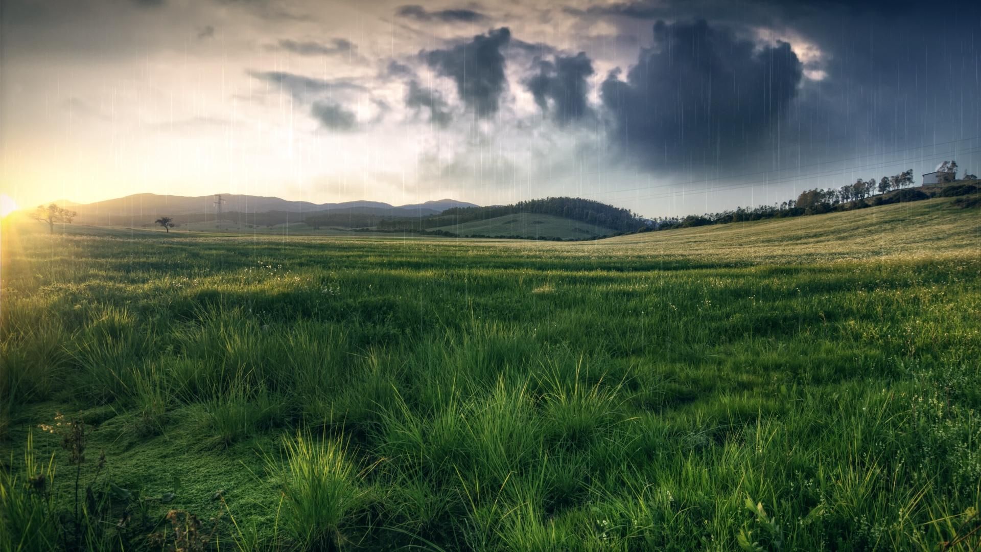 Spring Rain Desktop Wallpapers - Wallpaper Cave